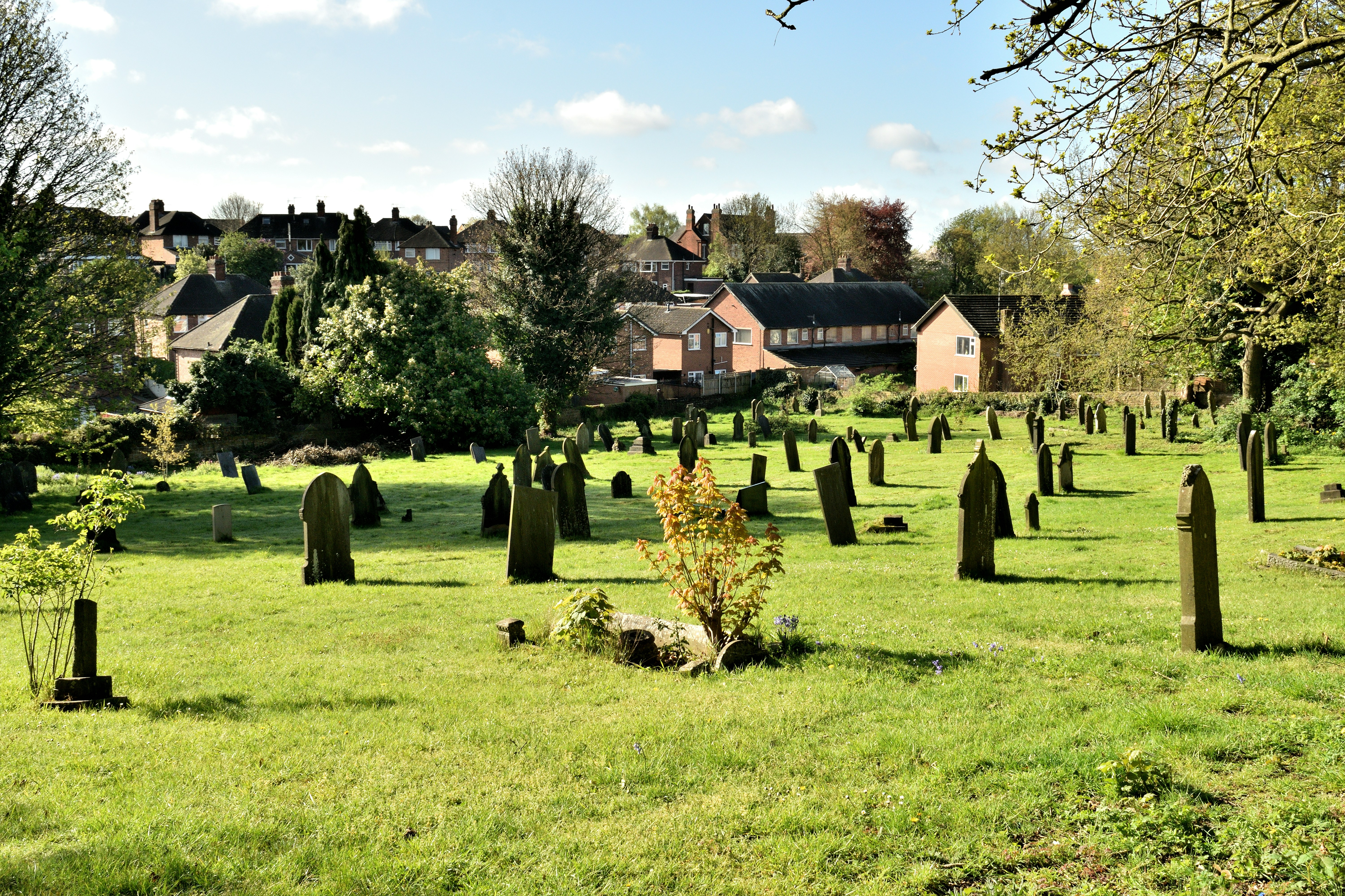 Evening Light Over Quiet Cemetery: Limewashed Stones and Suburban Horizon