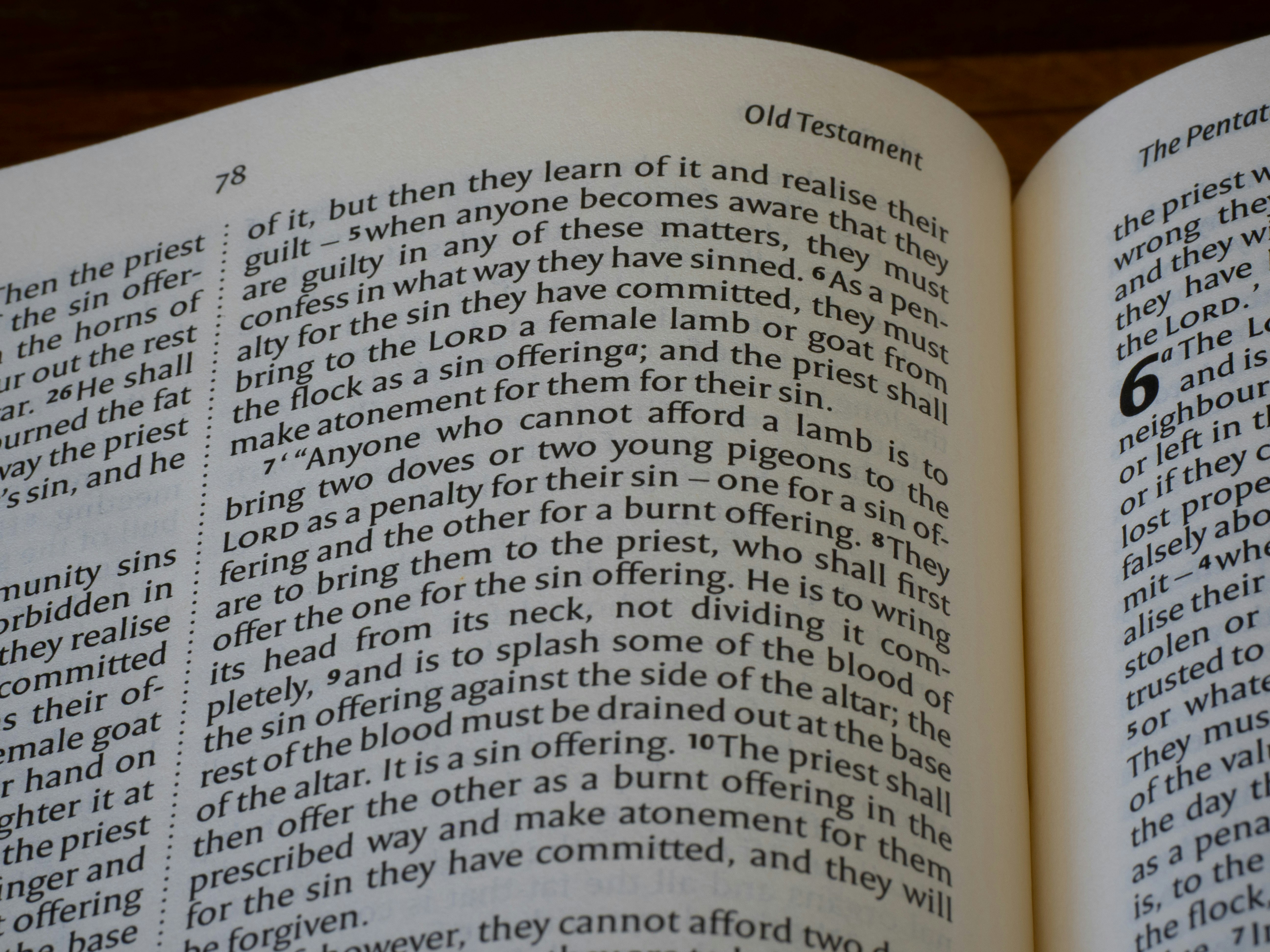 Old Testament Pages: A Close-Up of Time-Worn Text in a Book