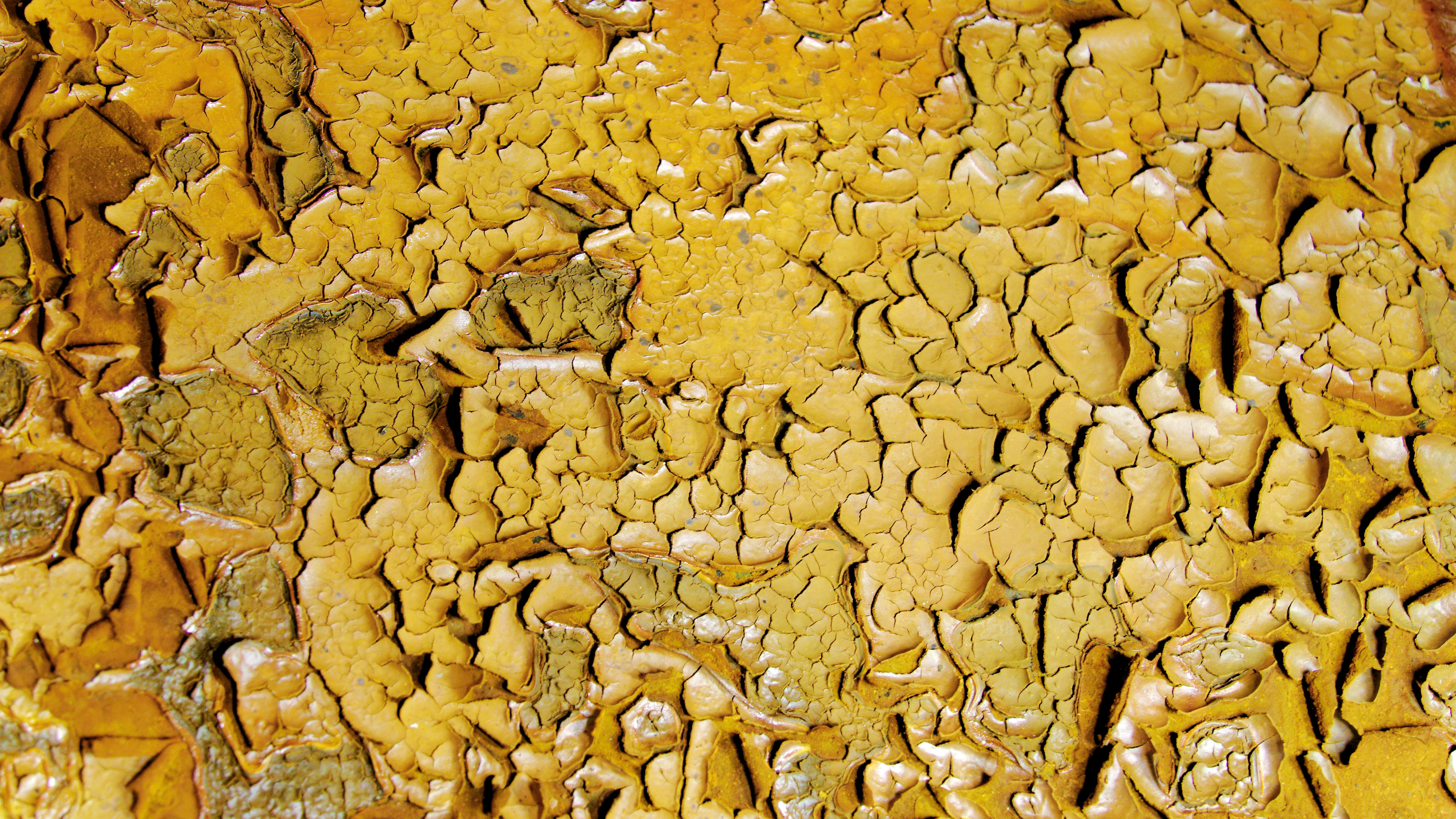 Cracked Autumn Quilt: Lichen-Textured Yellows
