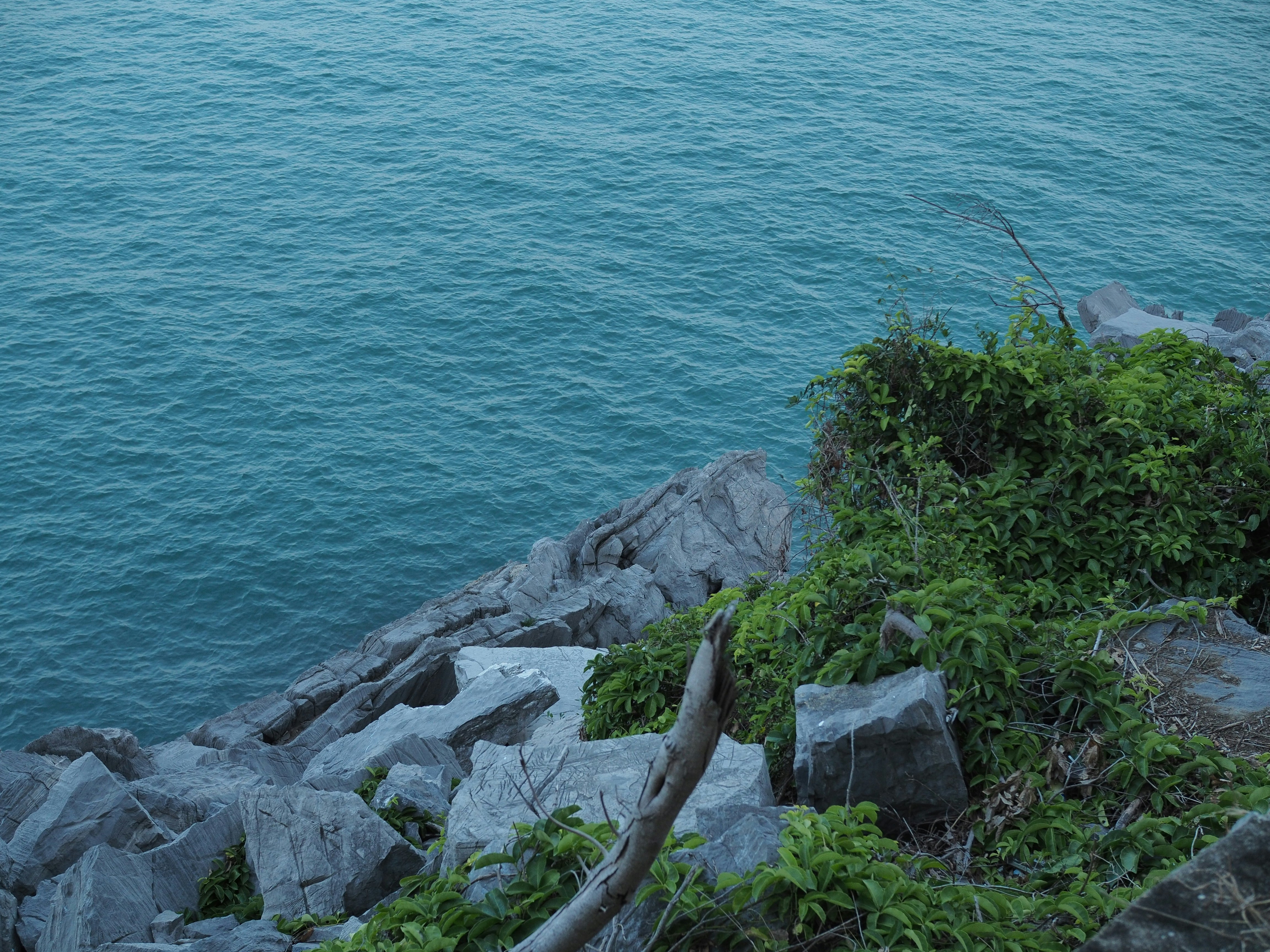 Cliffside Greens: A Quiet Verge Above The Sea