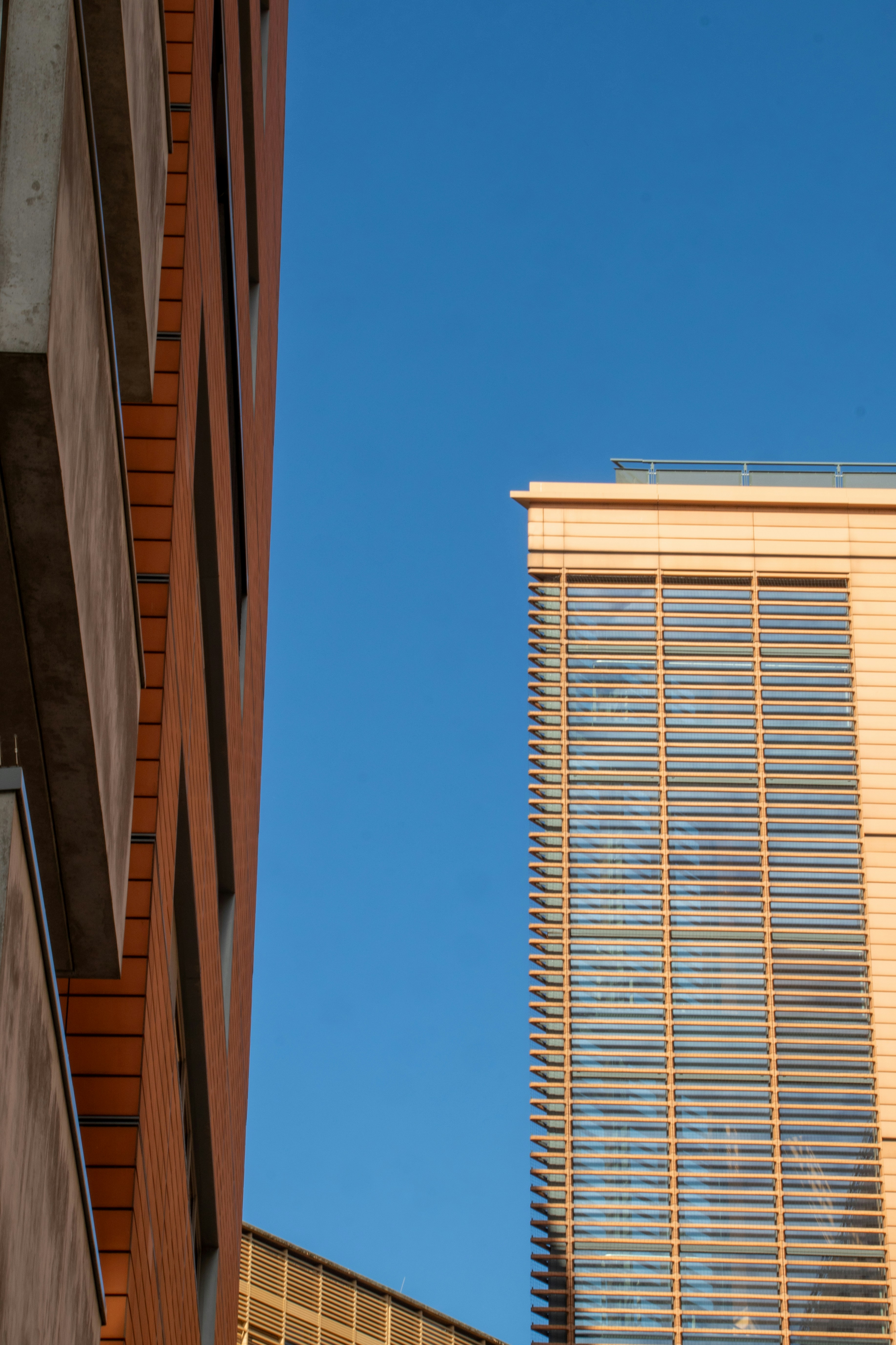 Edge of Azure: Skyscraper Angles Against a Clear Sky