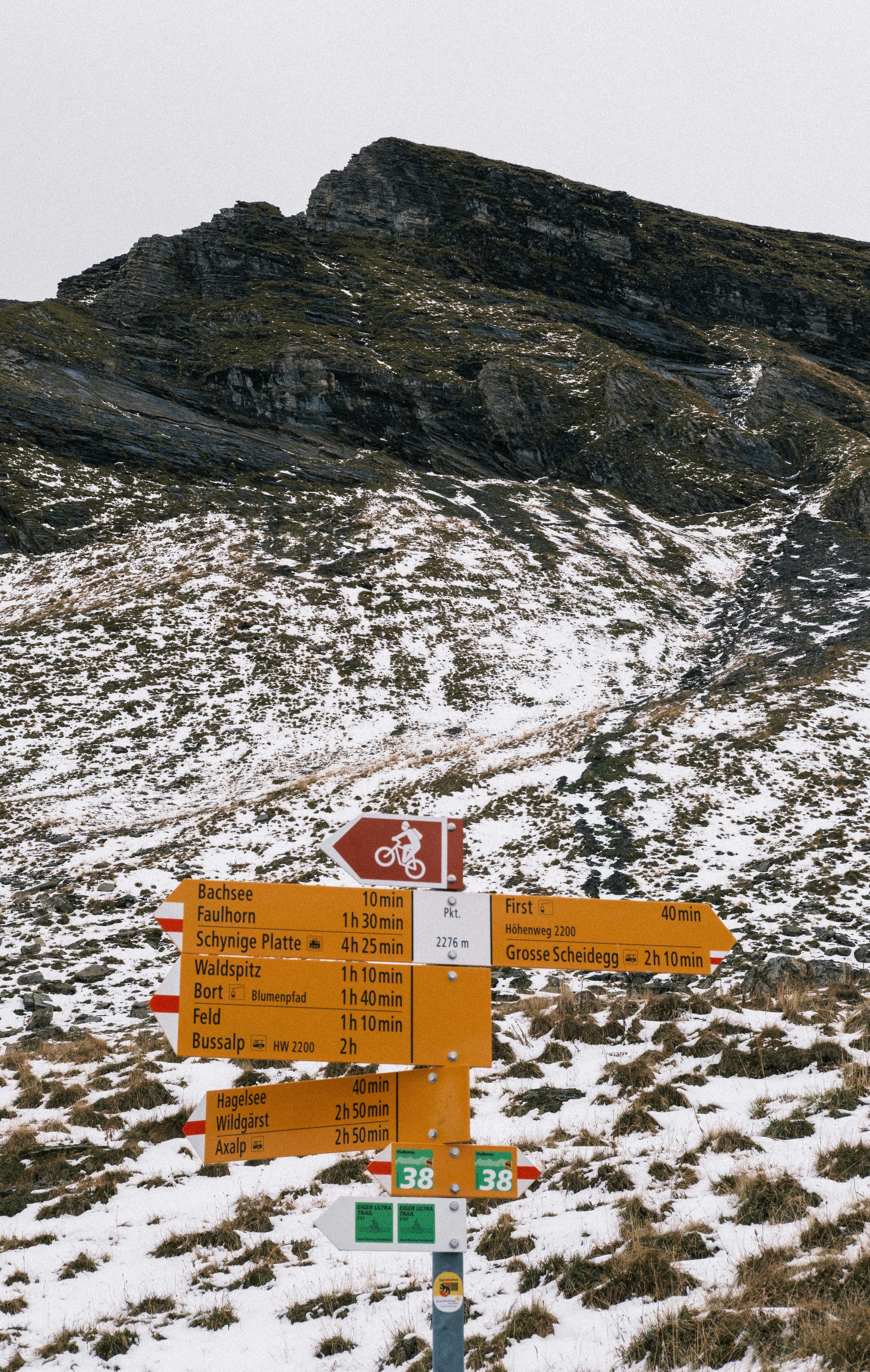 Winter Trail Signs carves a path through alpine silence