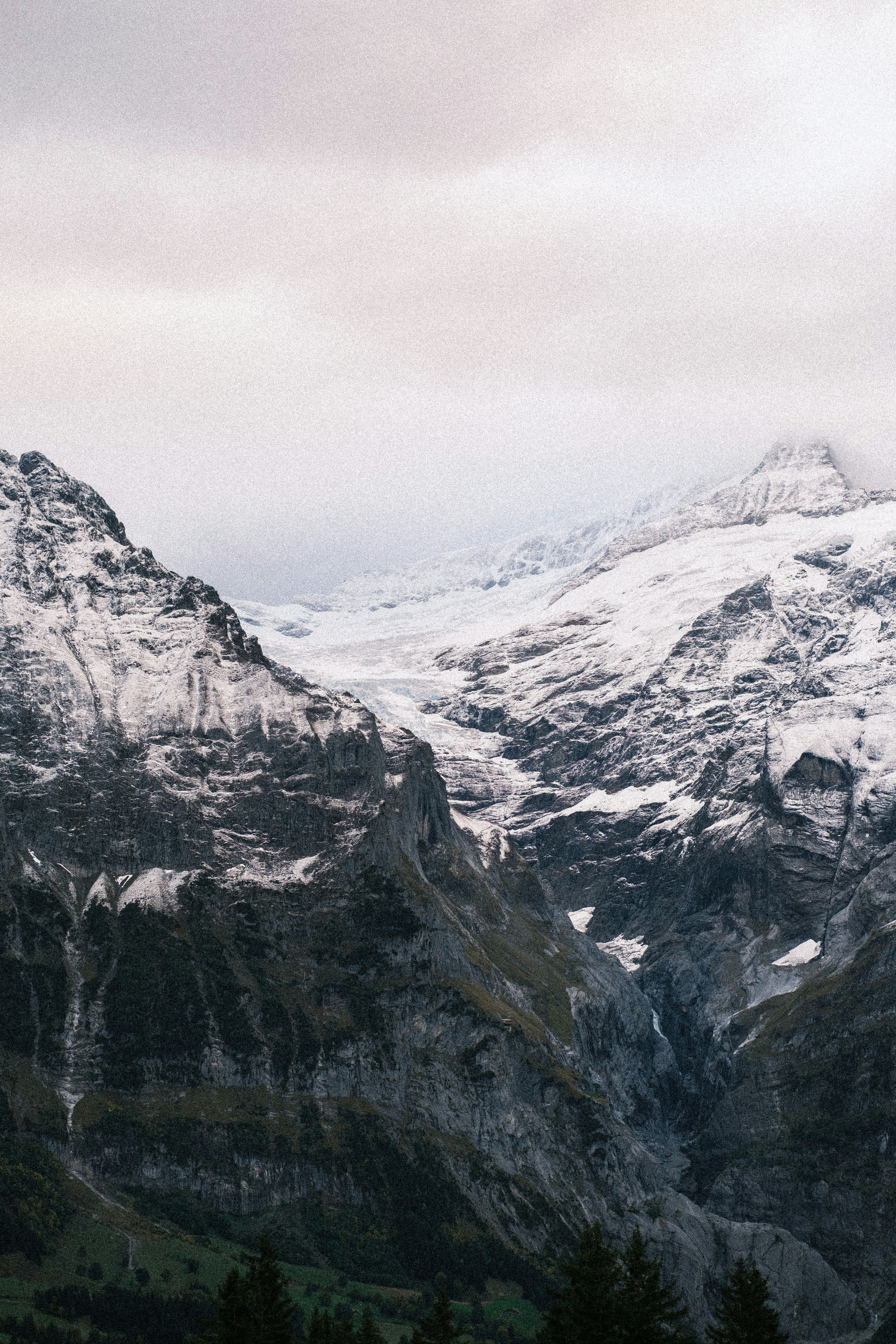 Above the Glacier Spine: A Snowbound Alpine Panorama
