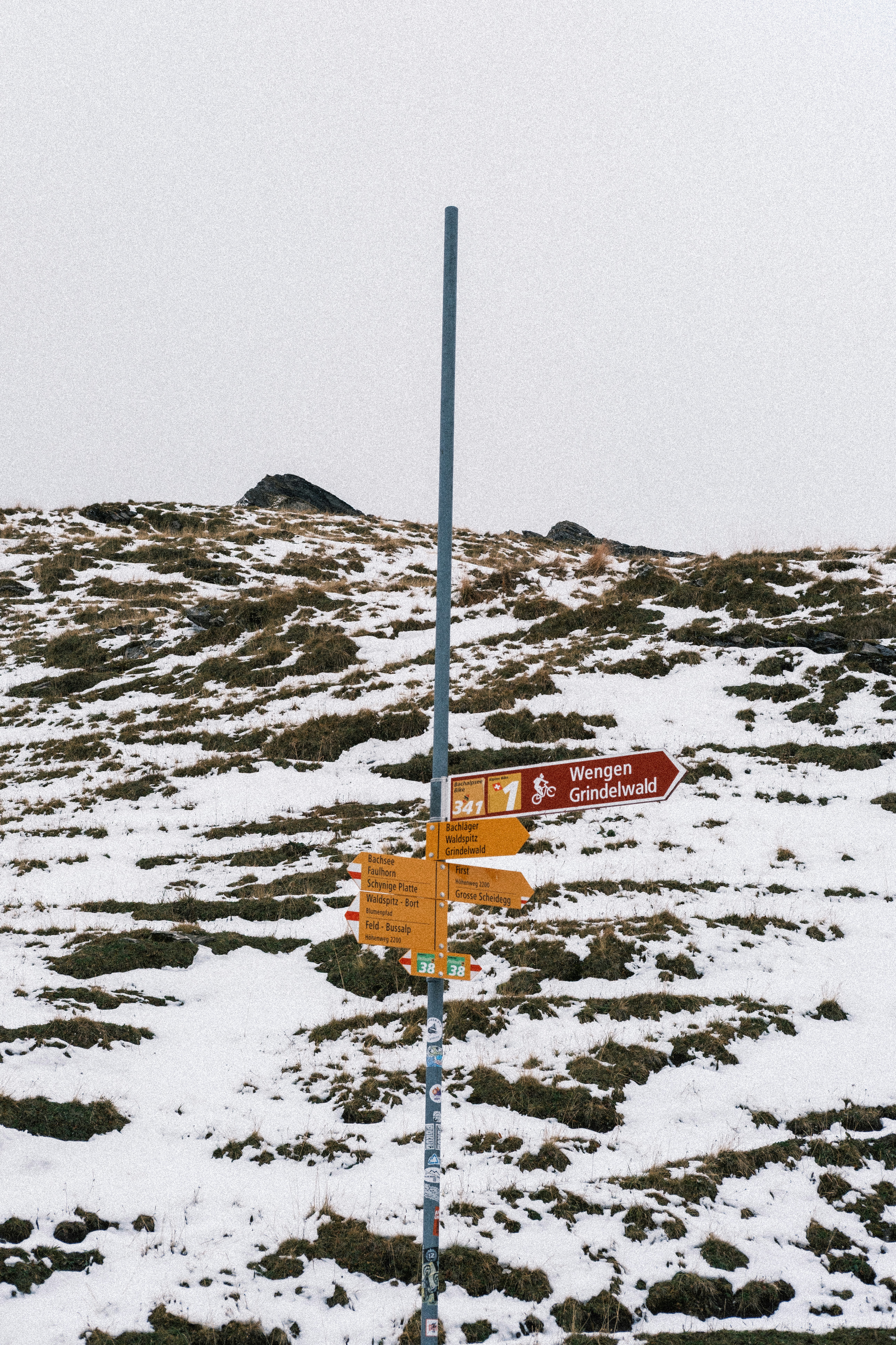 Signpost Sentinel on Snow-Dusted Trail