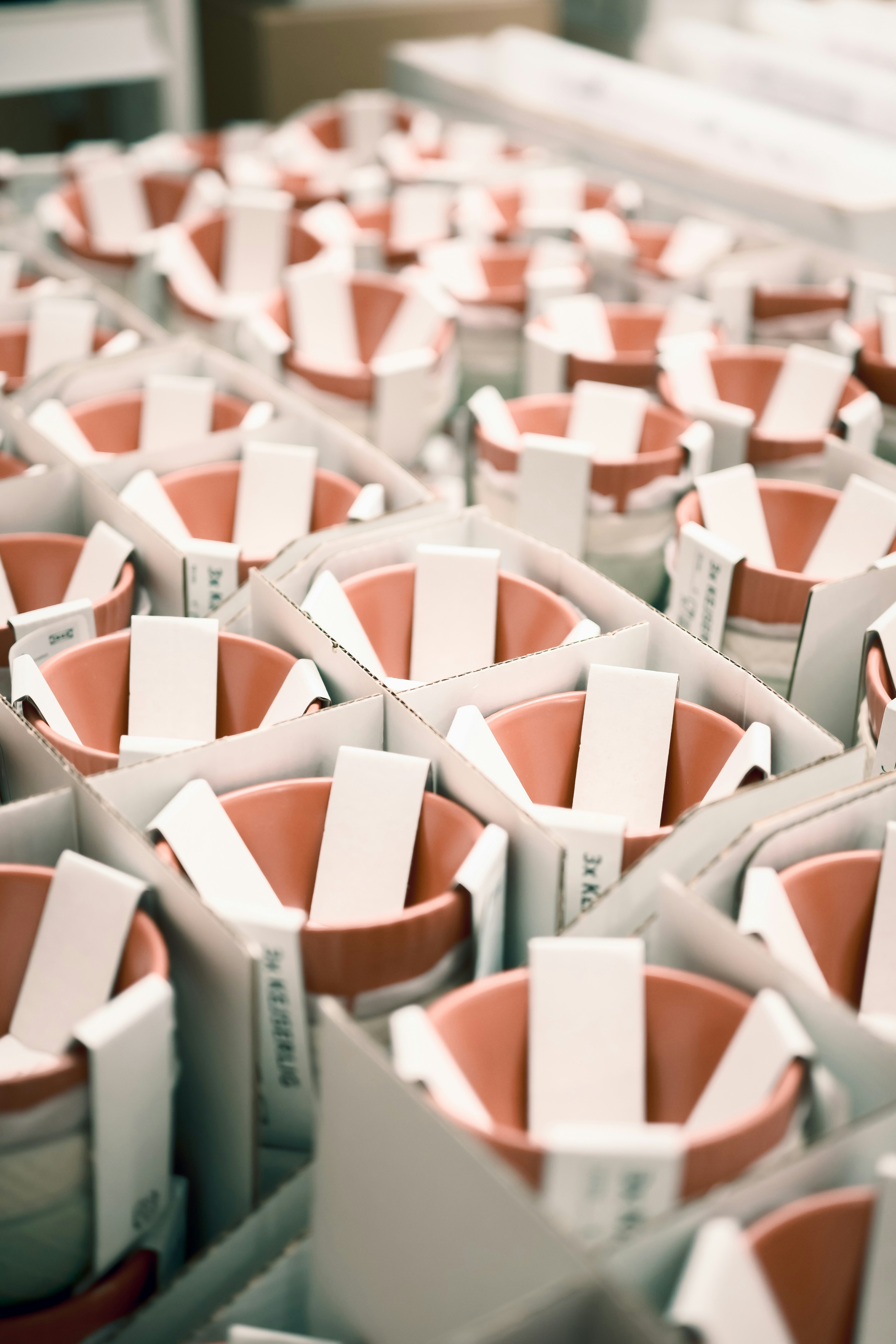 Angled Rows of Cinnamon Rolls in Soft Light