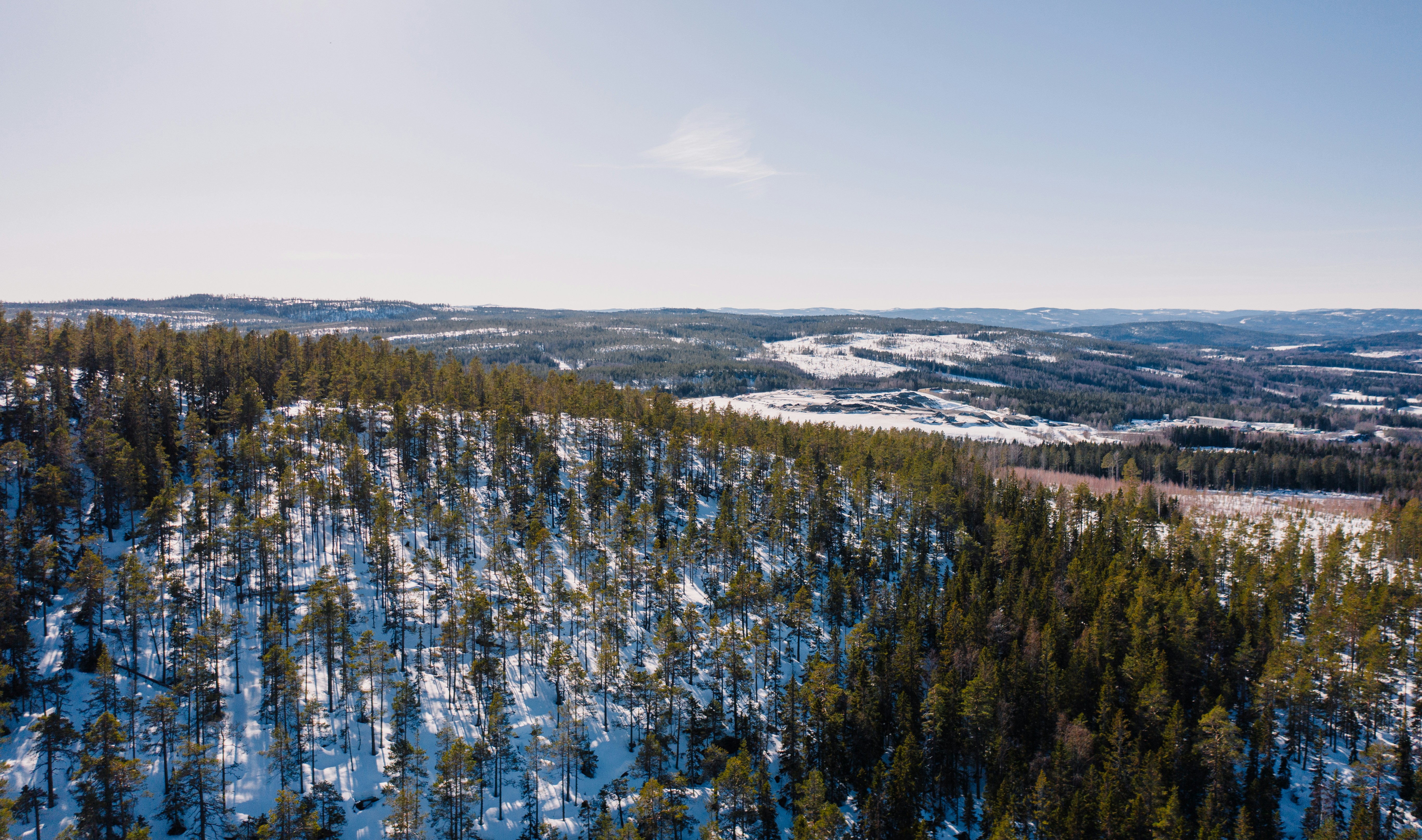Snowlit Pines Over a Rolling Winter Valley