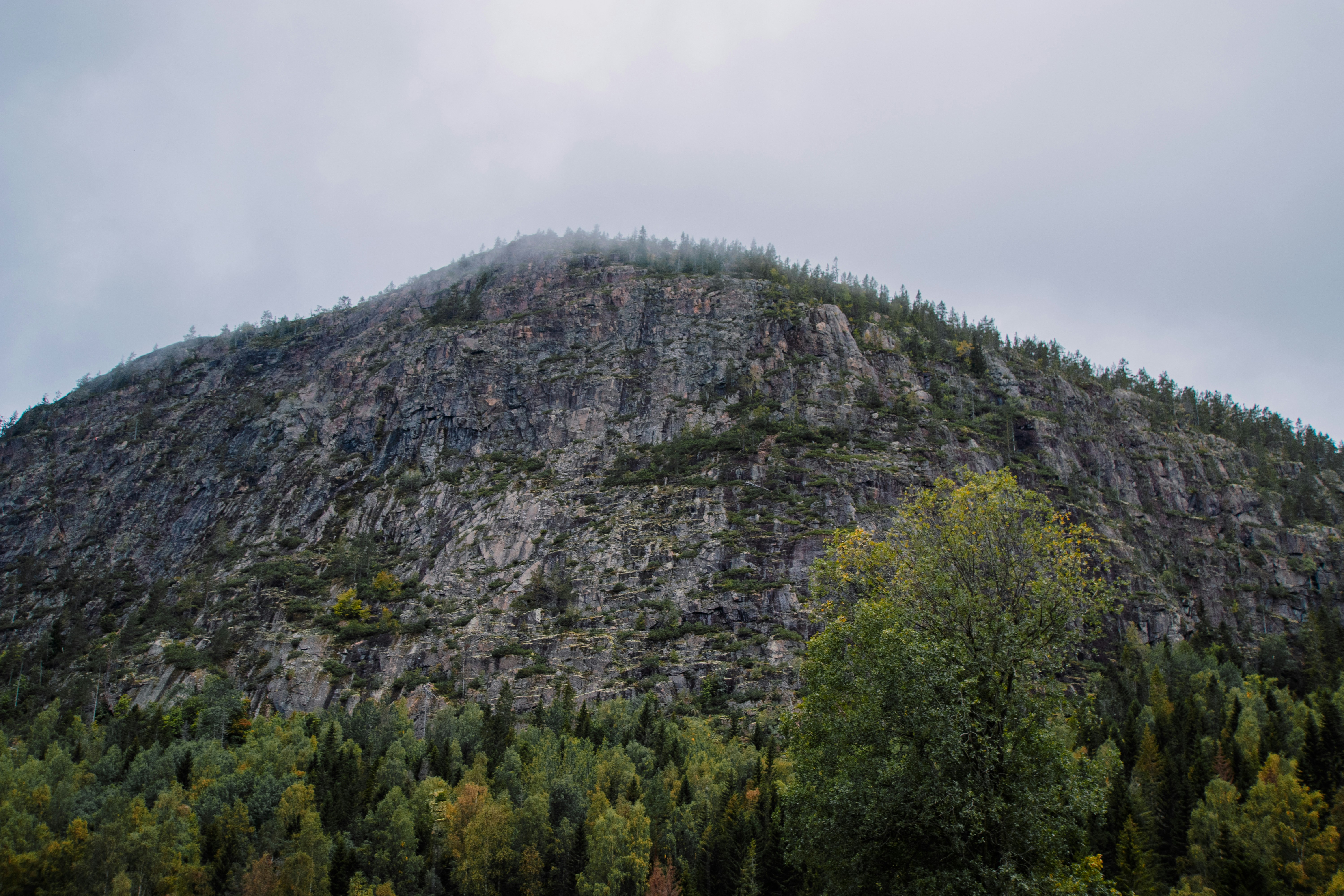 Rugged Summit Overlook