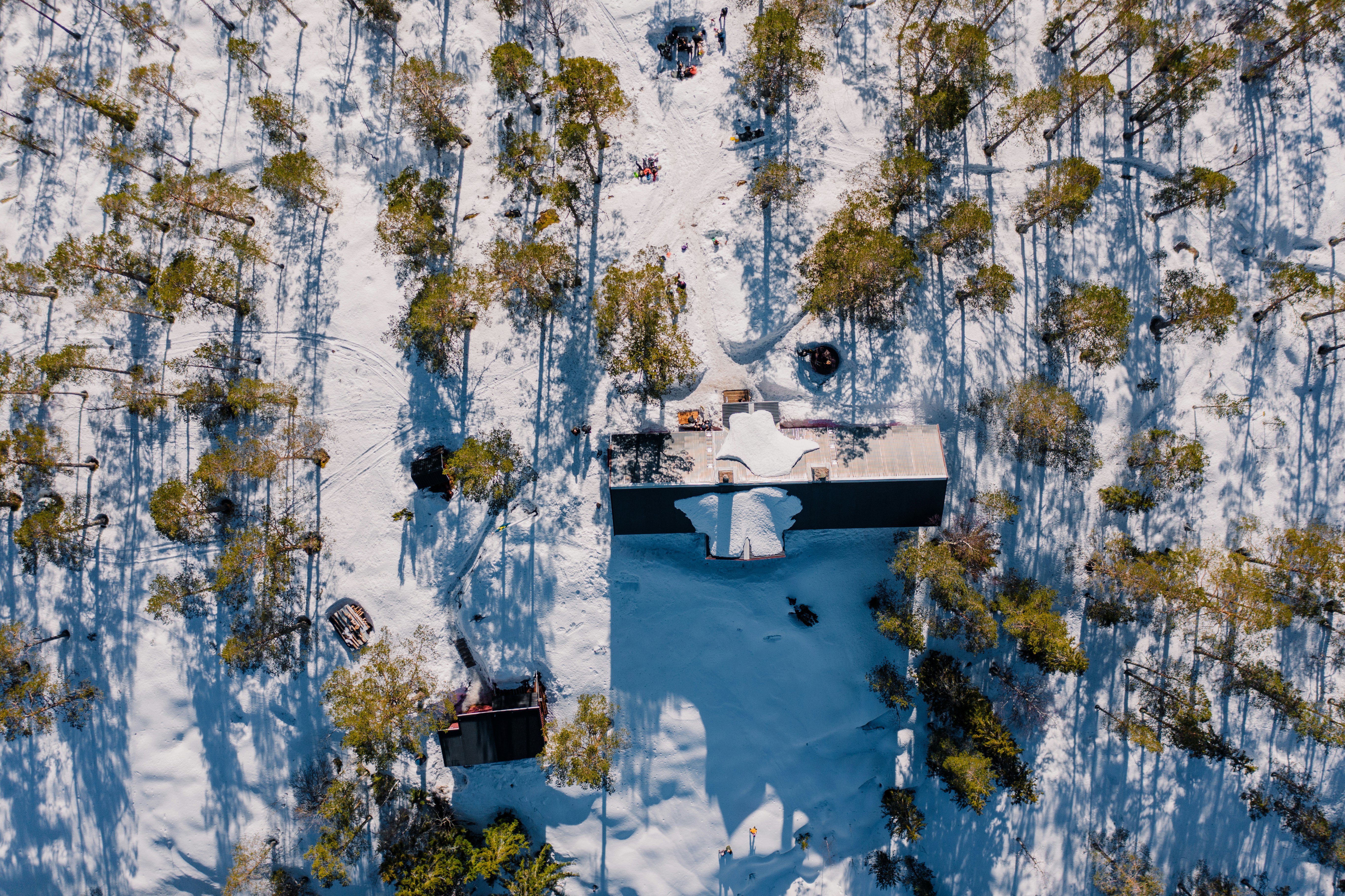Snowbound Sanctuary: Aerial View of a Cabin Nestled in Pines
