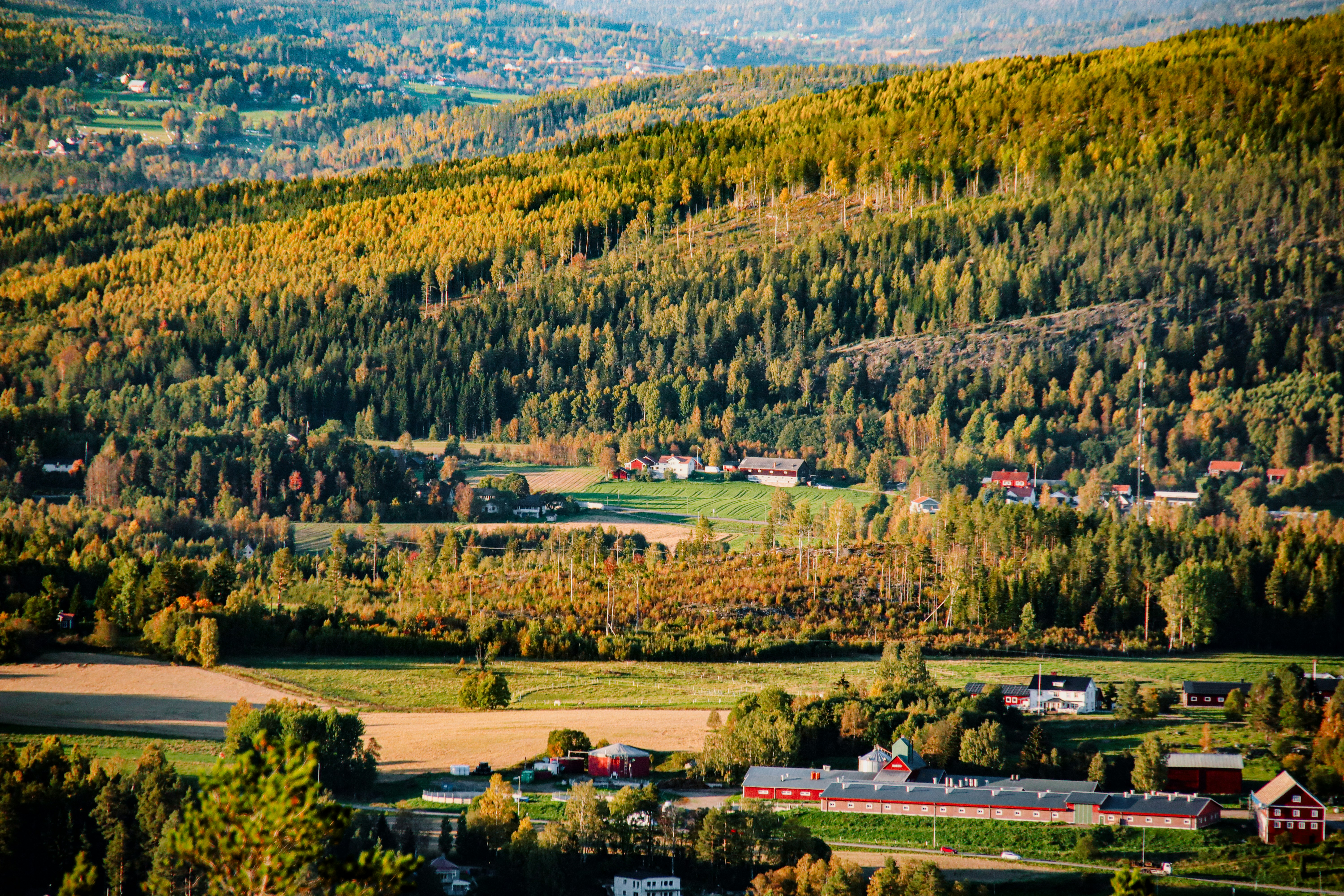 Autumn Valley Village Under Golden Canopy