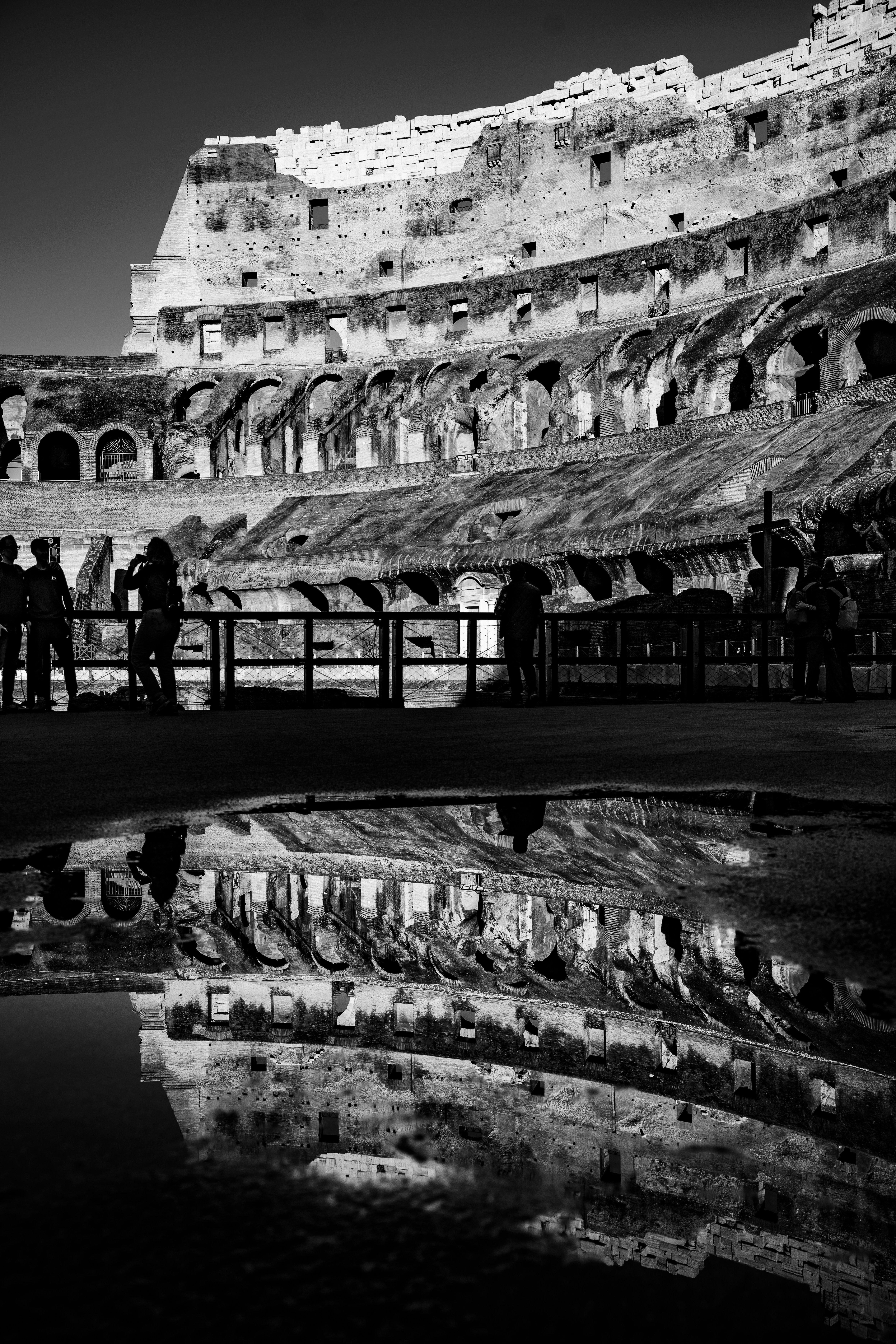 Echoes of the Colosseum: Silent Visitors in a Black-and-White Gaze