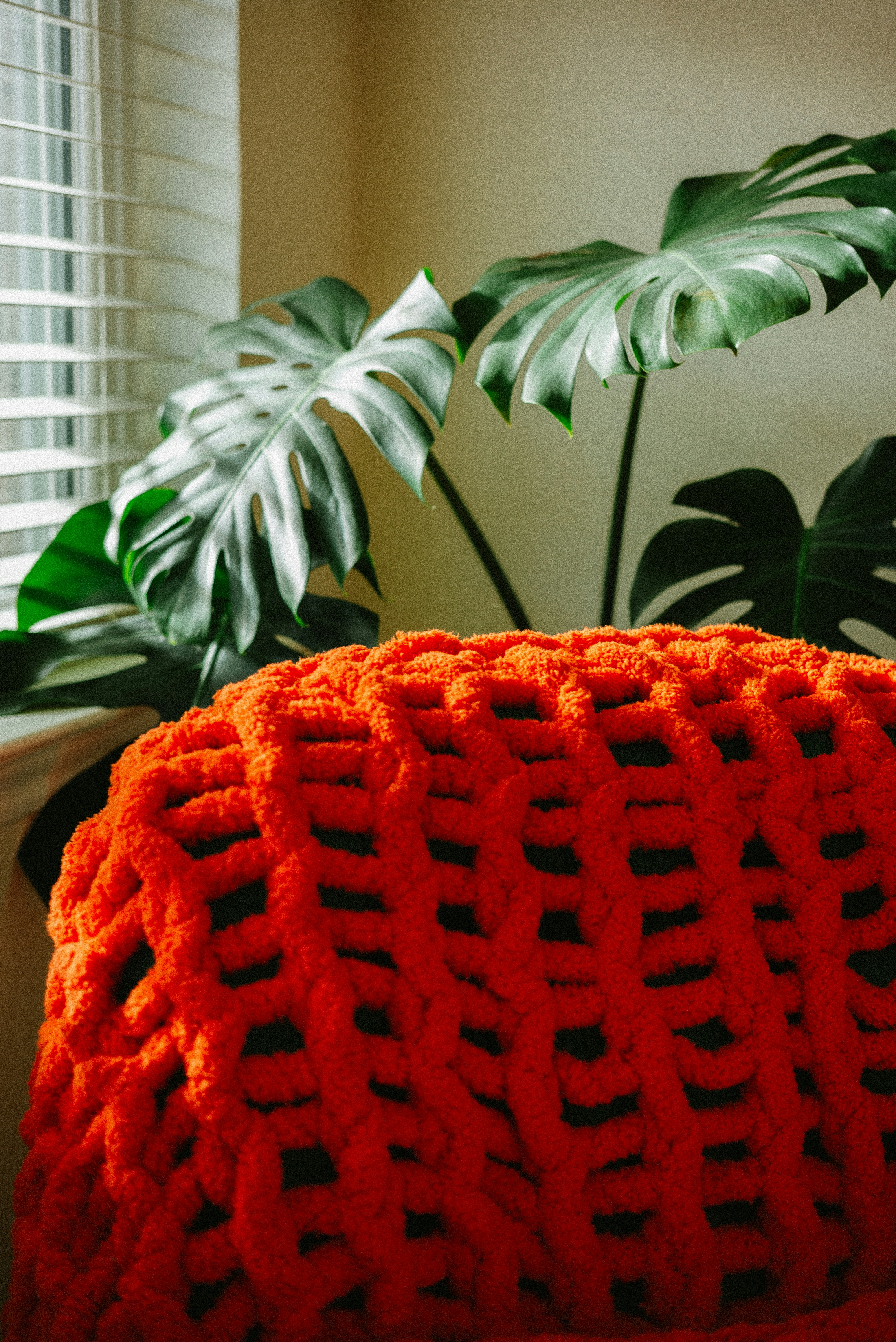 Warm Veranda Comfort: Cushioned Orange Weave Amid Monstera Grace