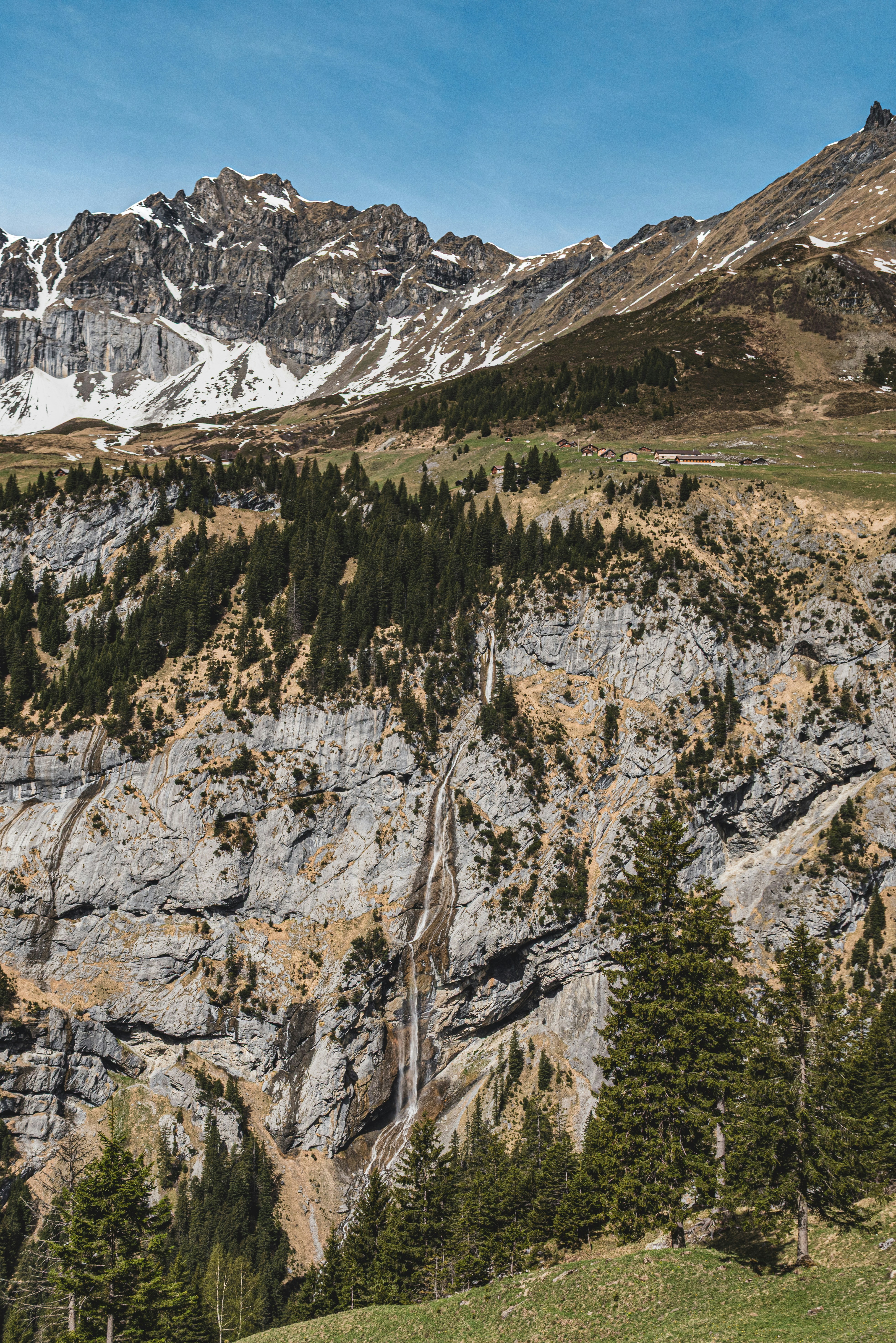 Misty Alps Overlook: Snow-capped Peaks and Pine Cliffs