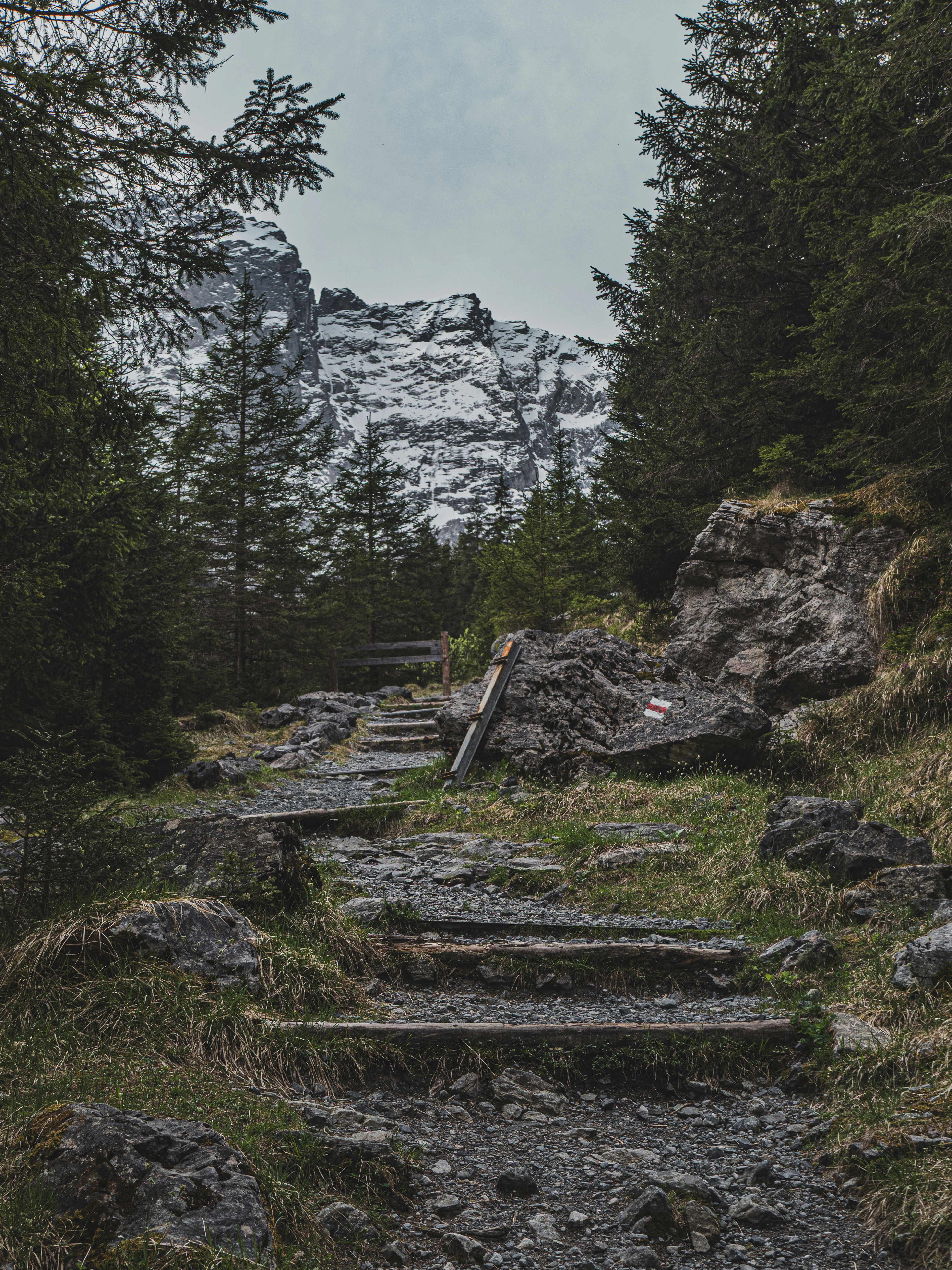Rugged Mountain Trail Winding Toward Snow-capped Peaks