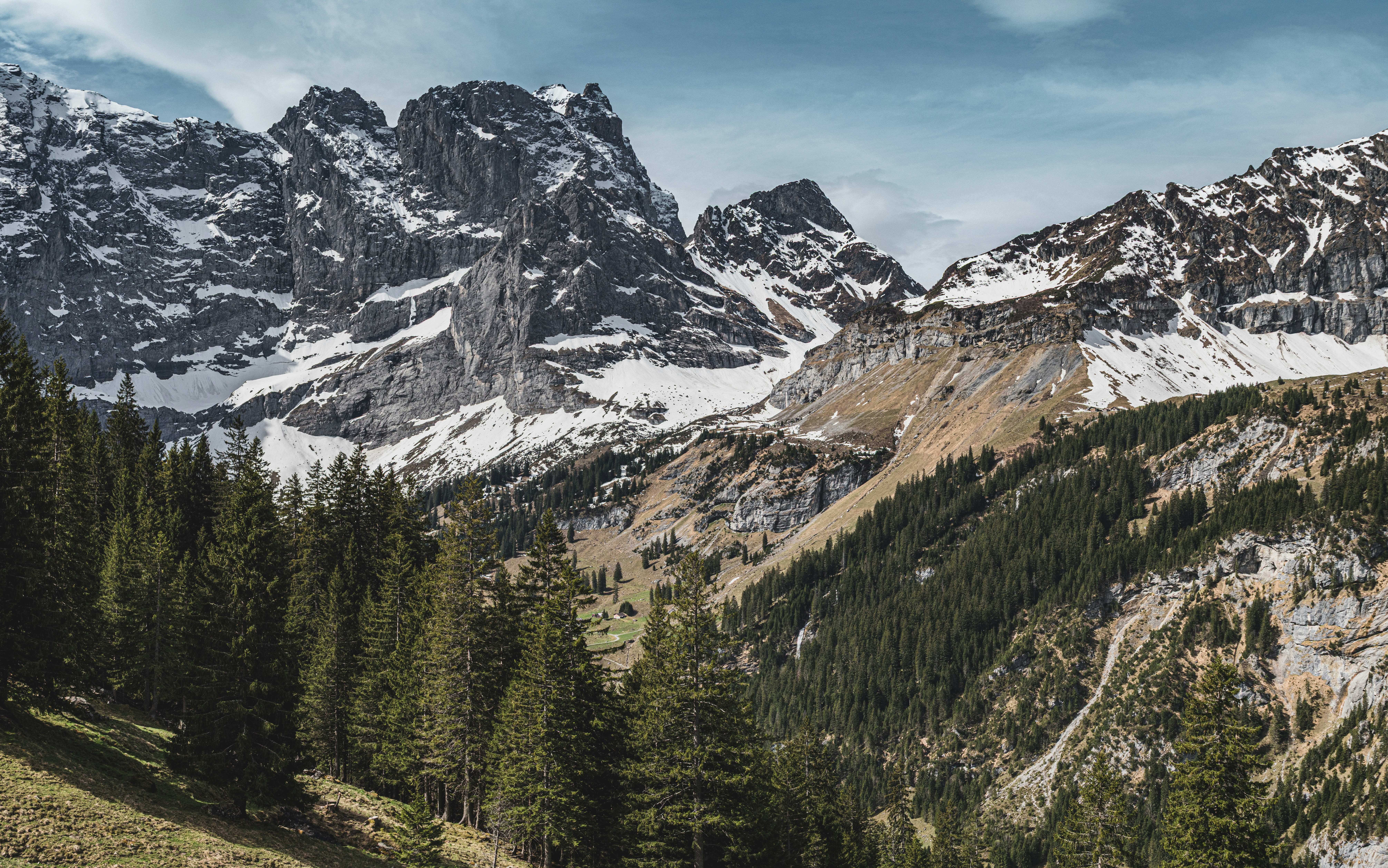 Snow-kissed Peaks Over a Pine Valley