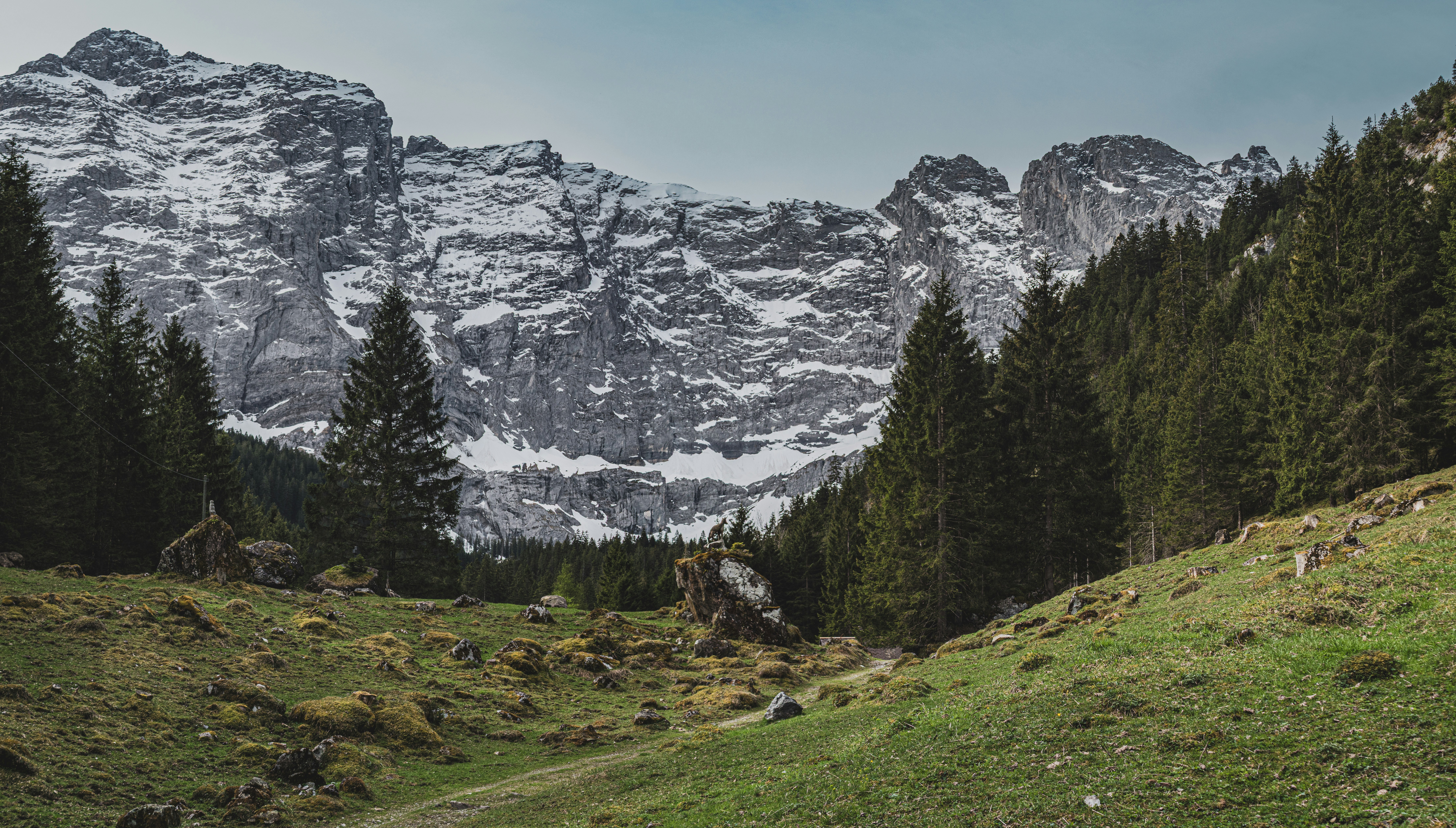 Verdant Approach to the Snow-Dusted Wall of Peaks