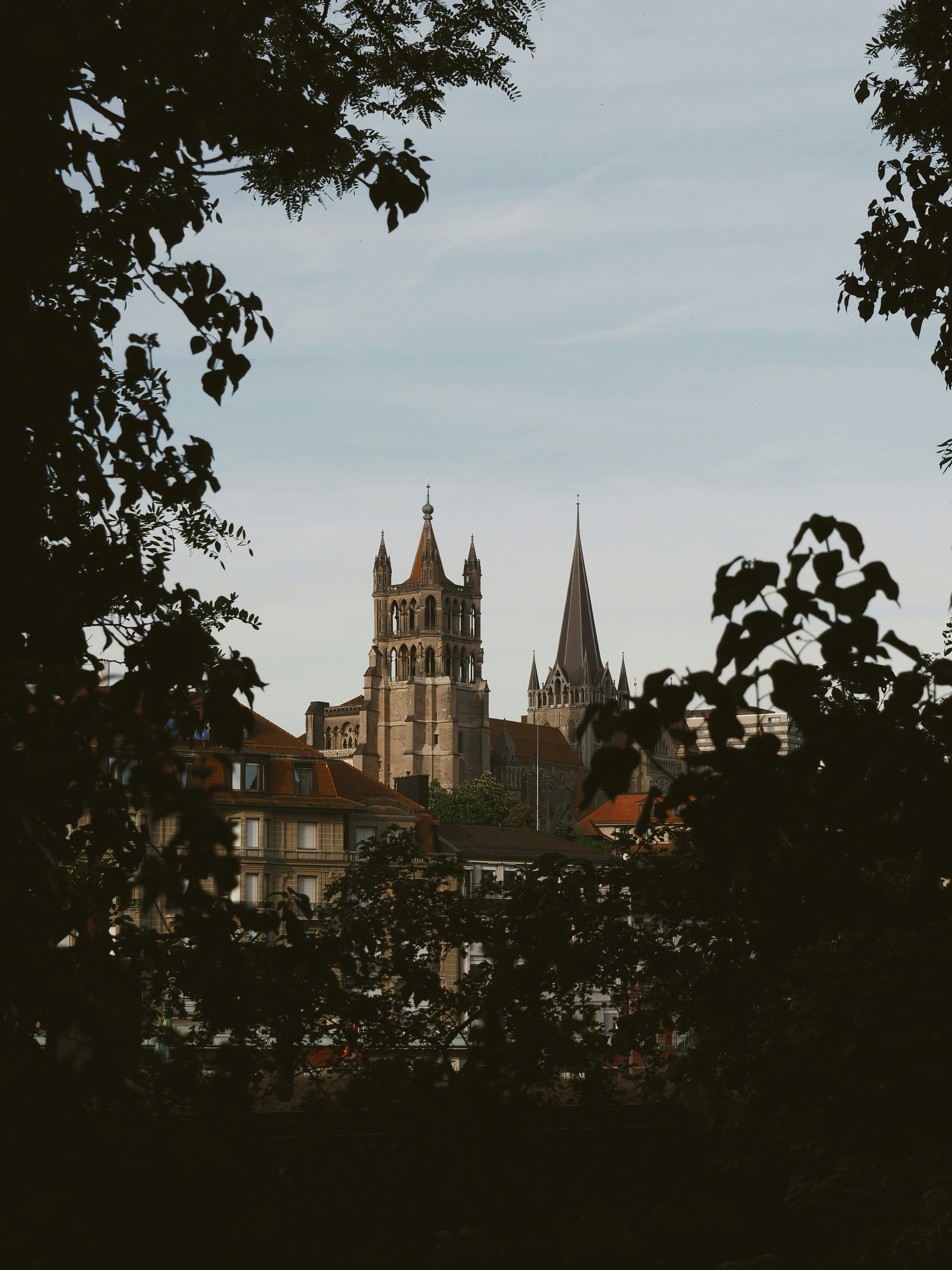 Cathedral Silhouette Framed by Verdant Vines