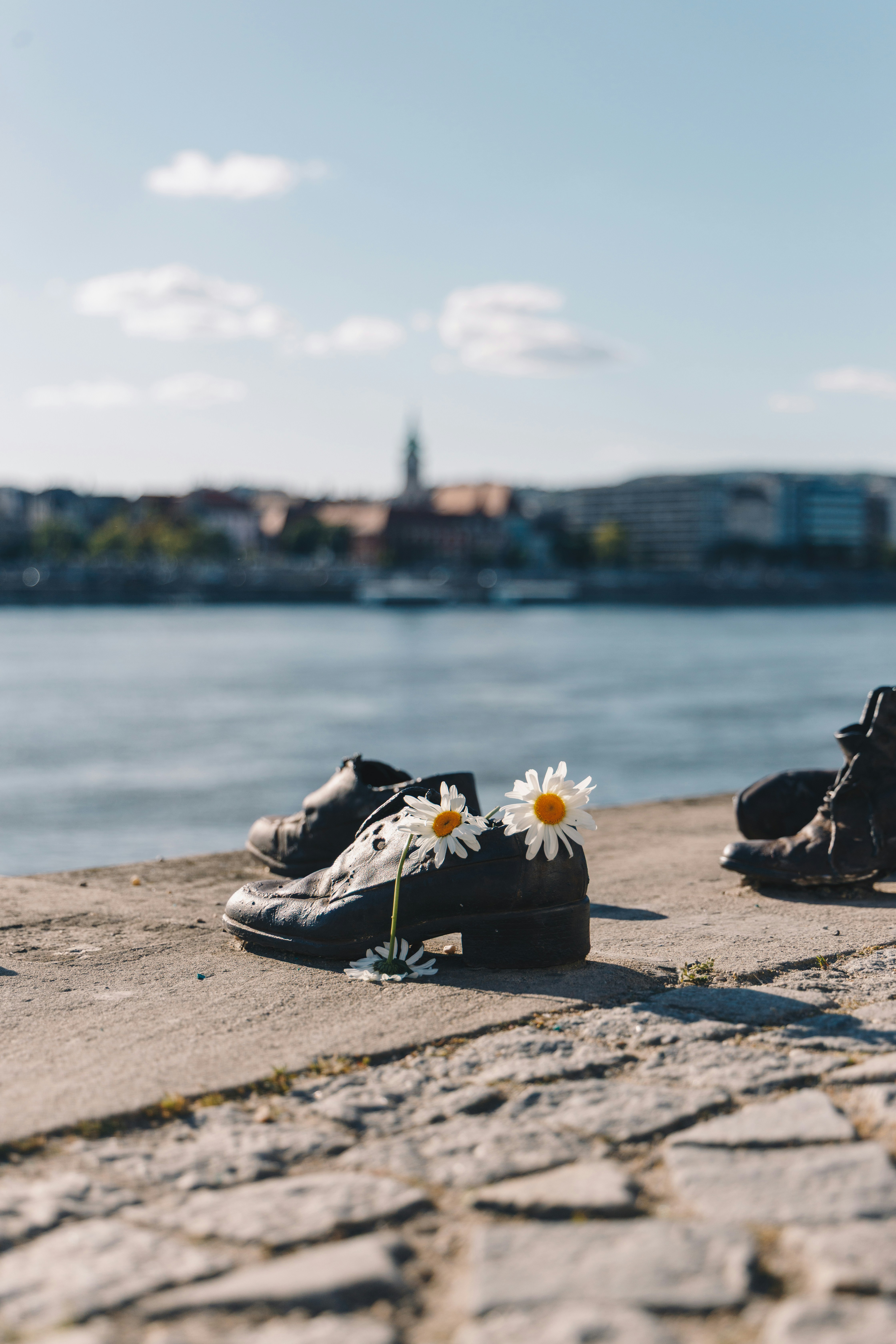Daisies and Debris: Shoes by the Riverbank