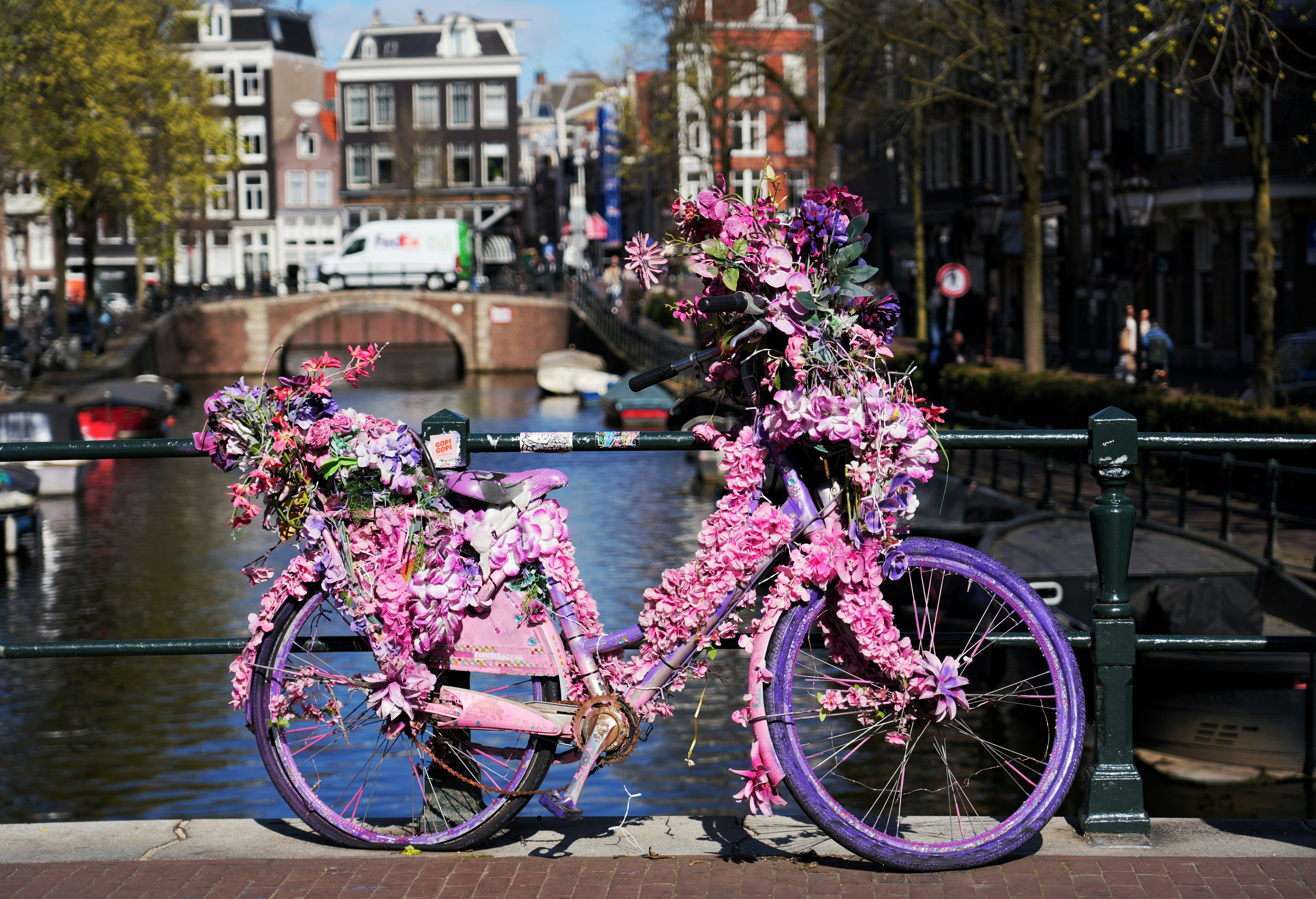 Floral frame: a bicycle adorned with blossoms by the canal