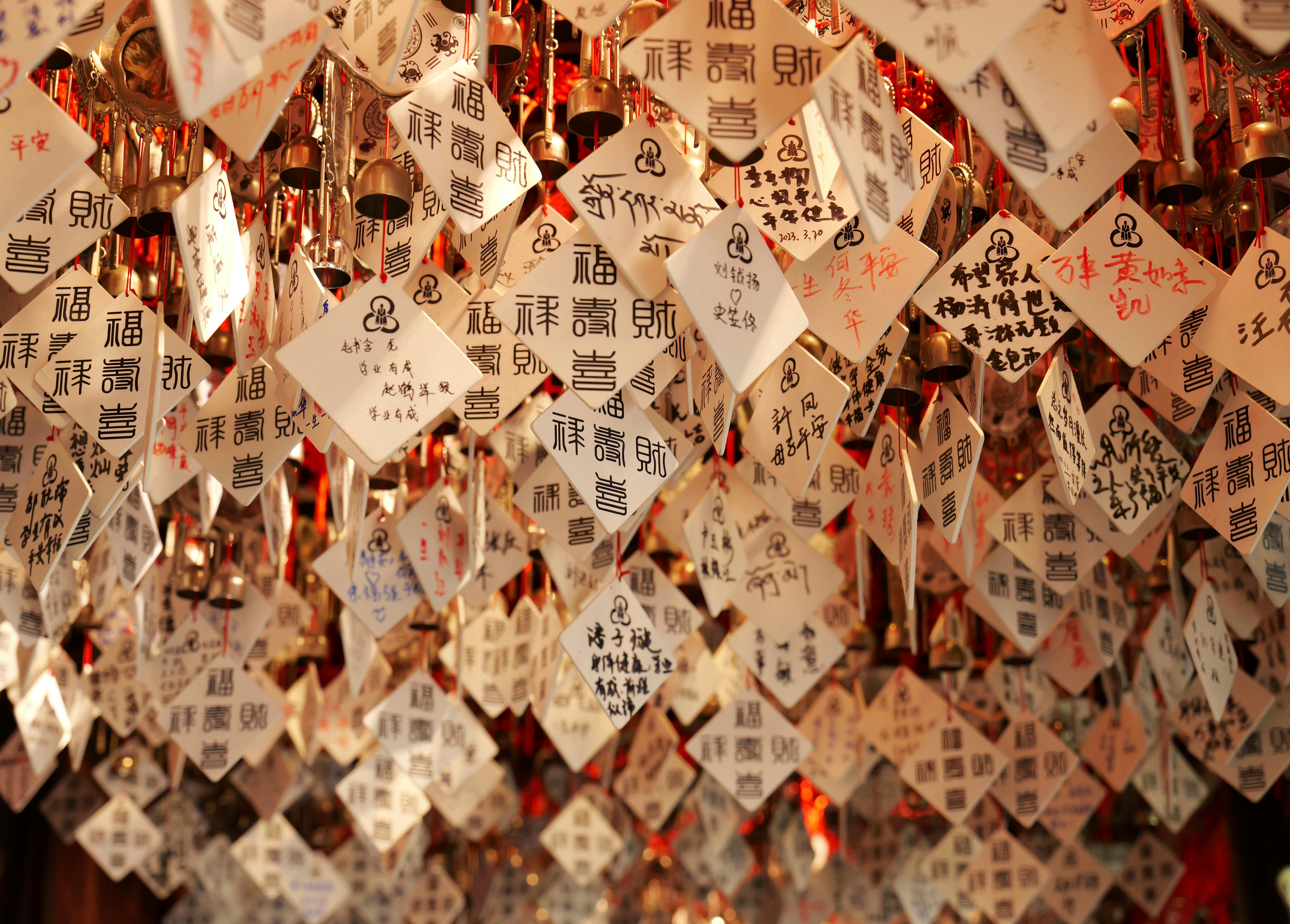 Floating Talisman Forest: A Clutter of Paper Blessings