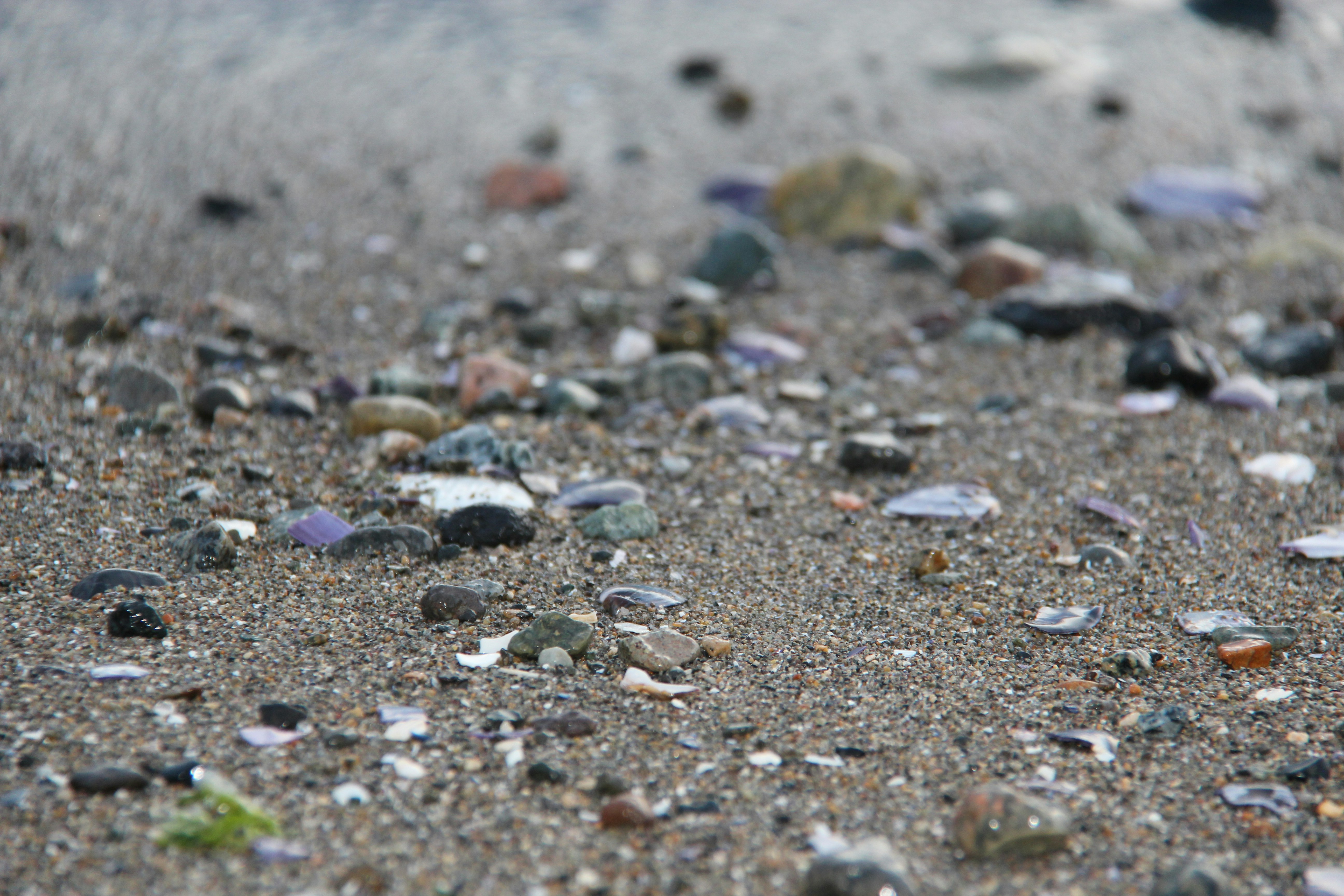 Pebble Mosaic at Dusk: A Pebble-strewn Beach Close-up