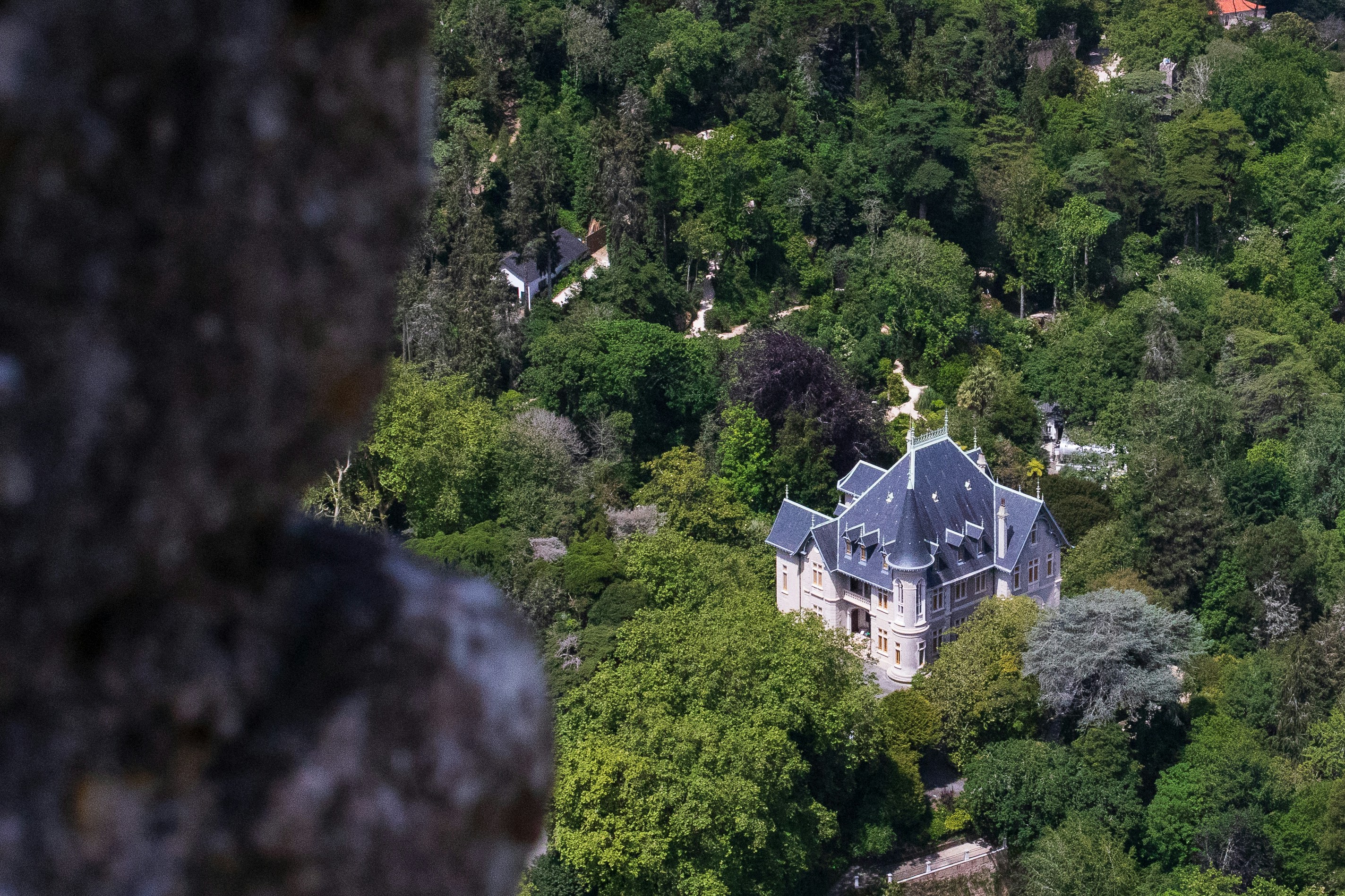 Hidden Fortress: A hillside manor peeks through emerald canopy
