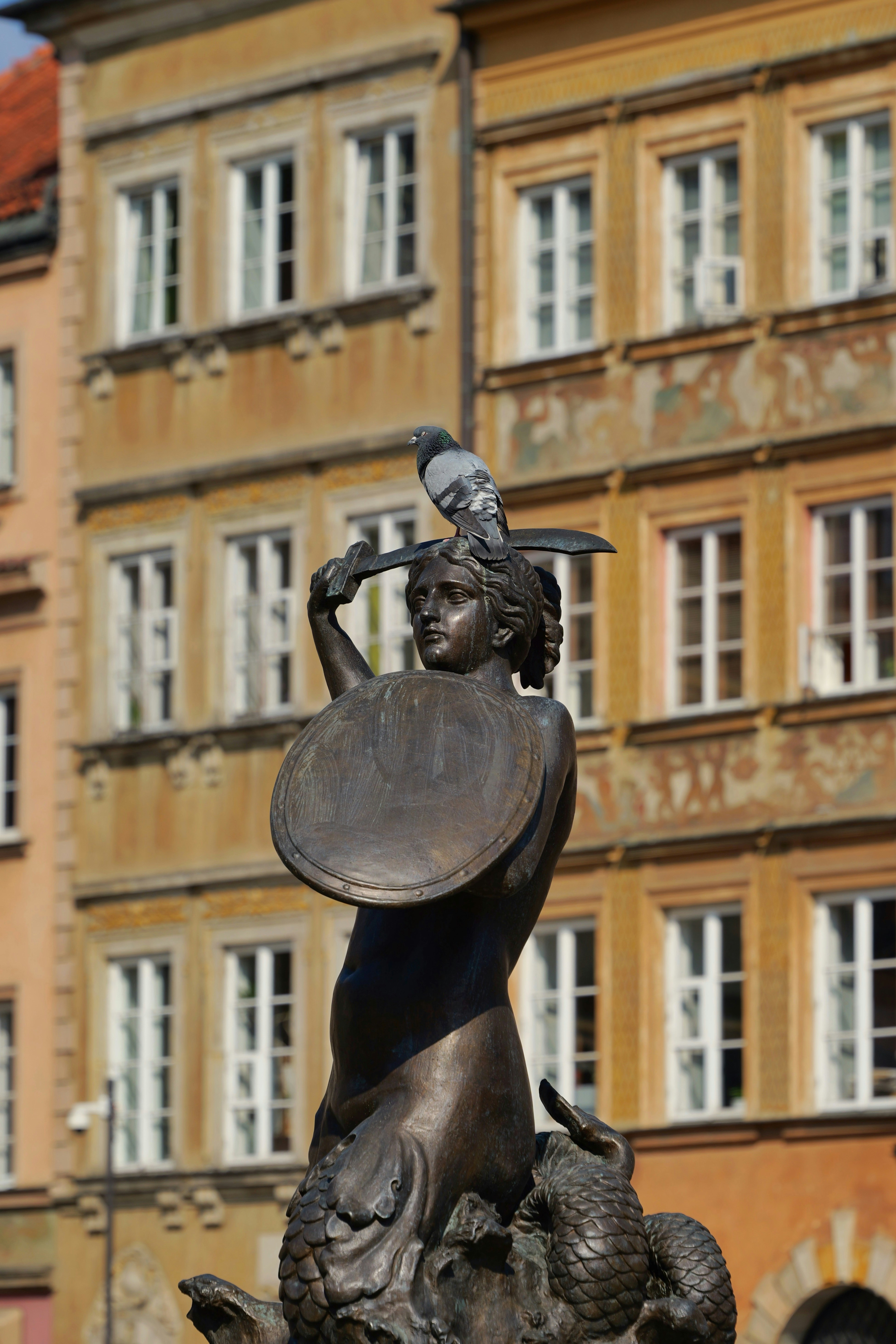 Statue of a Shield-Bearer with a Dying Peacock on Urban Facade