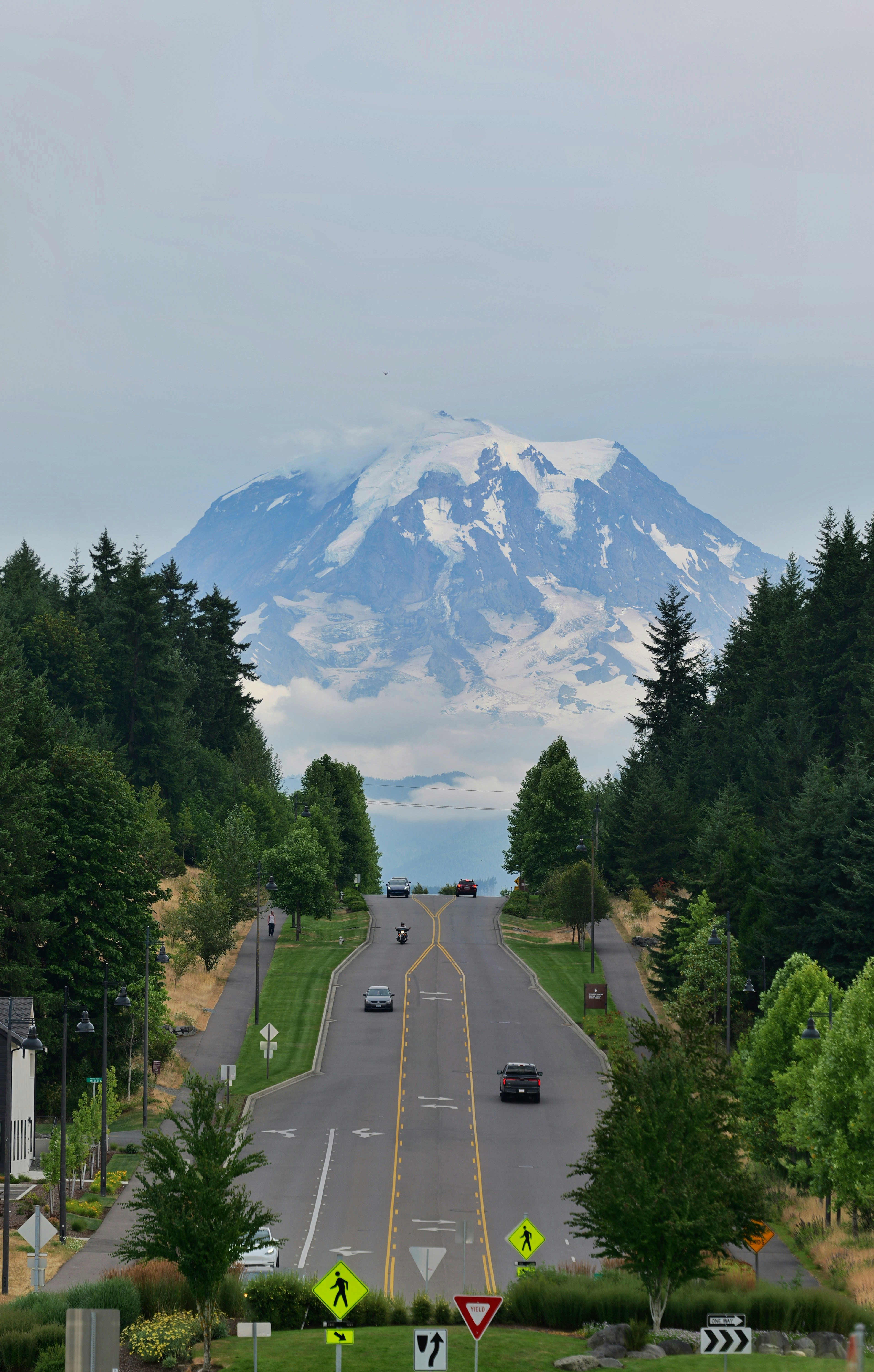 Mountaintop Road: A Lined Ascent Under Snow and Pines