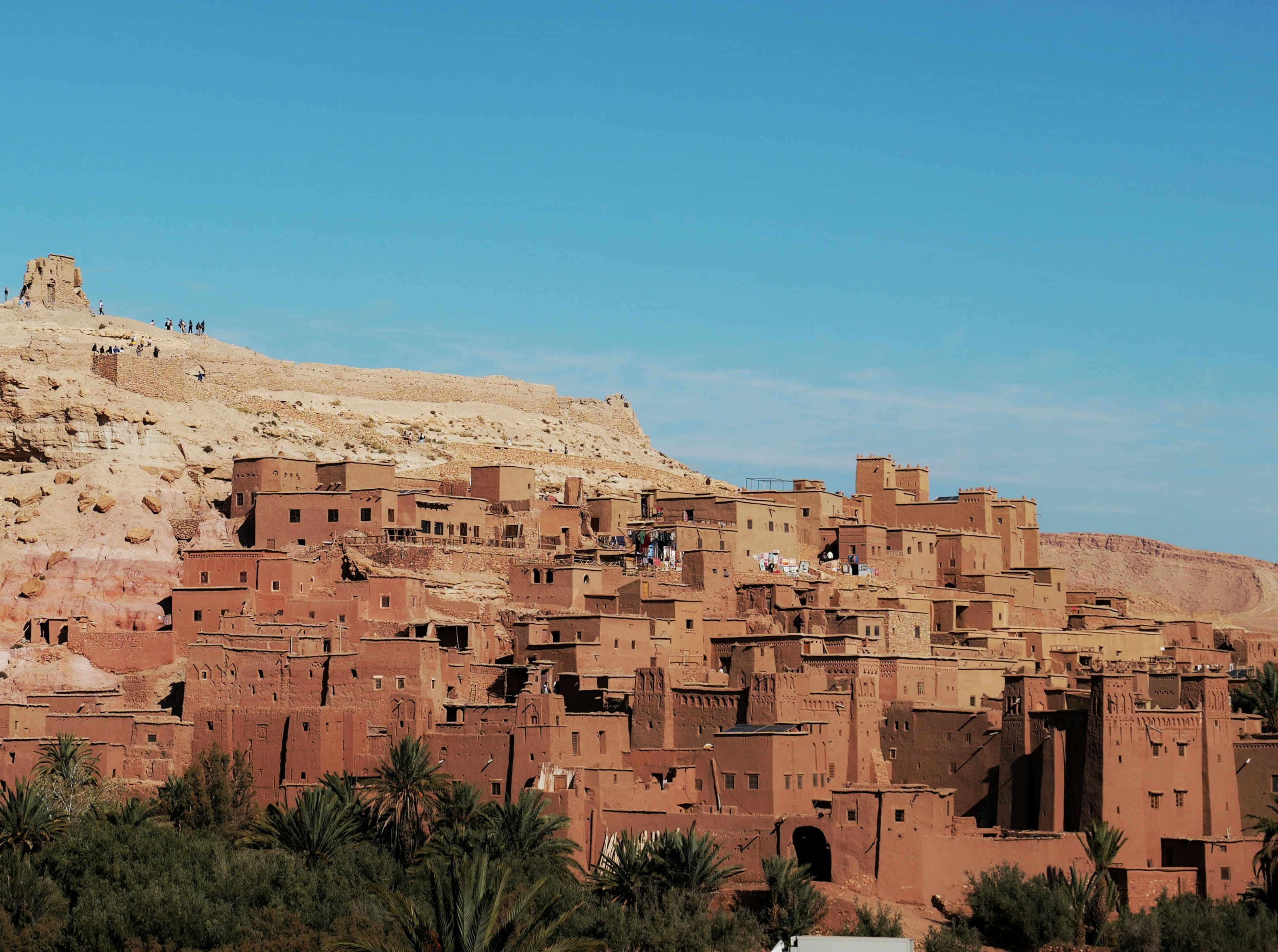 Across the Clay City: Terraced Dwellings Rise Above Palm Oasis