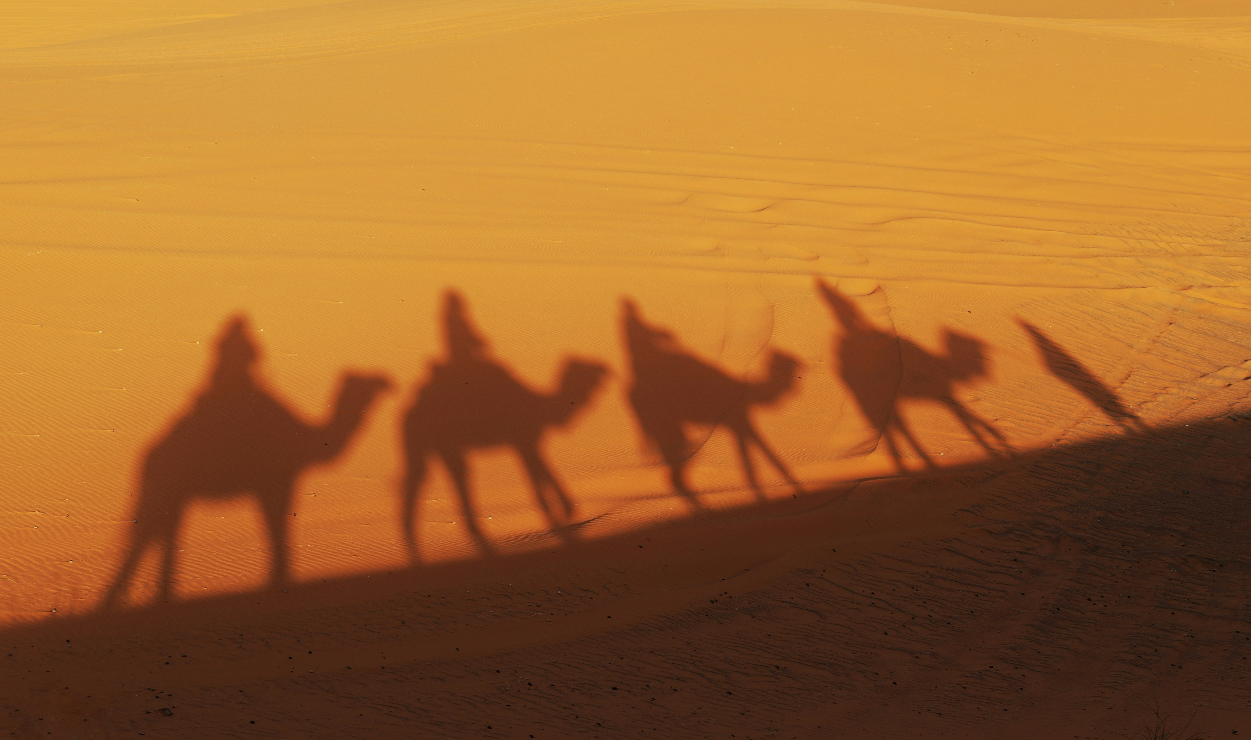 Desert Caravan in Twilight Orange