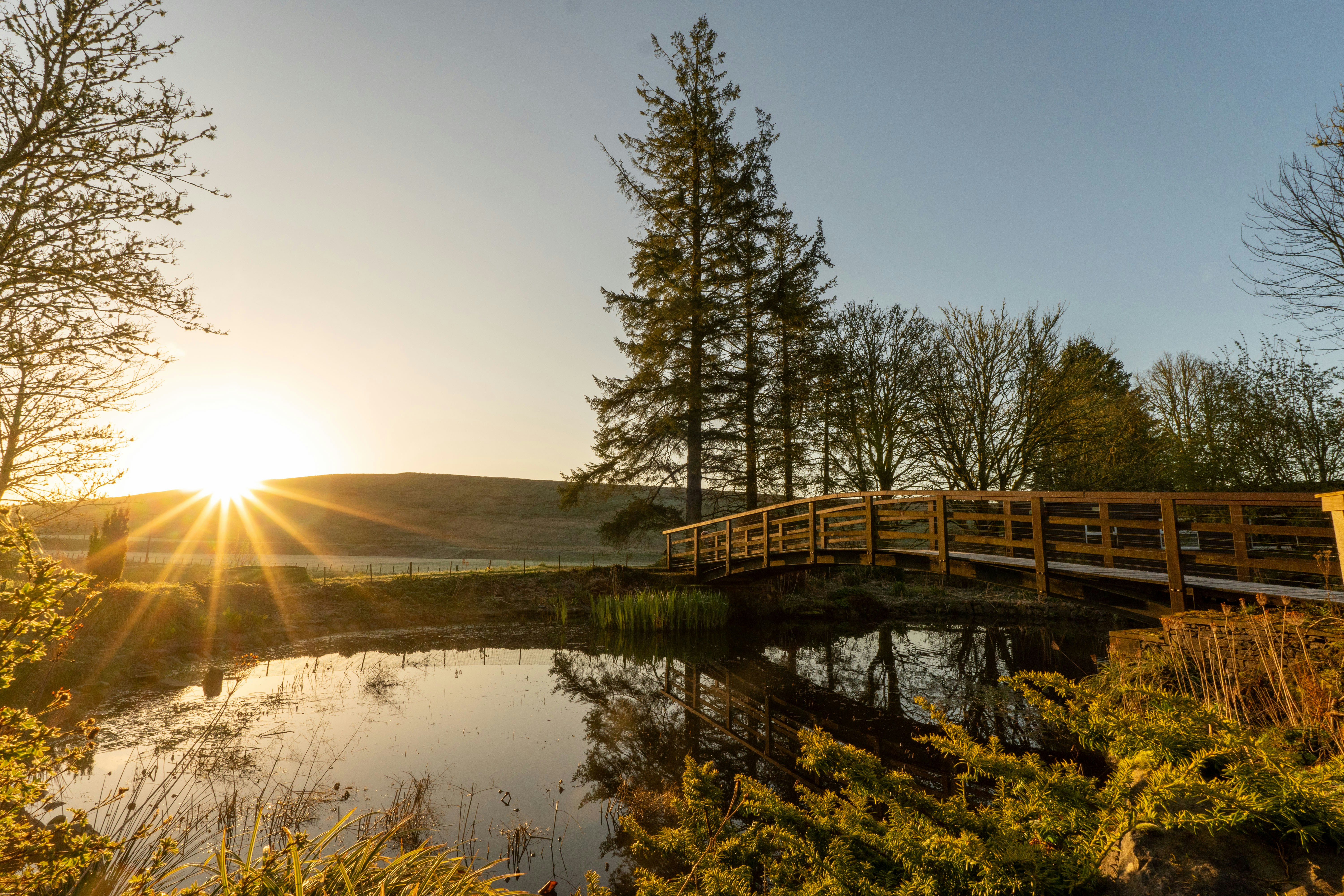 Golden Hour Footbridge Over Quiet Water