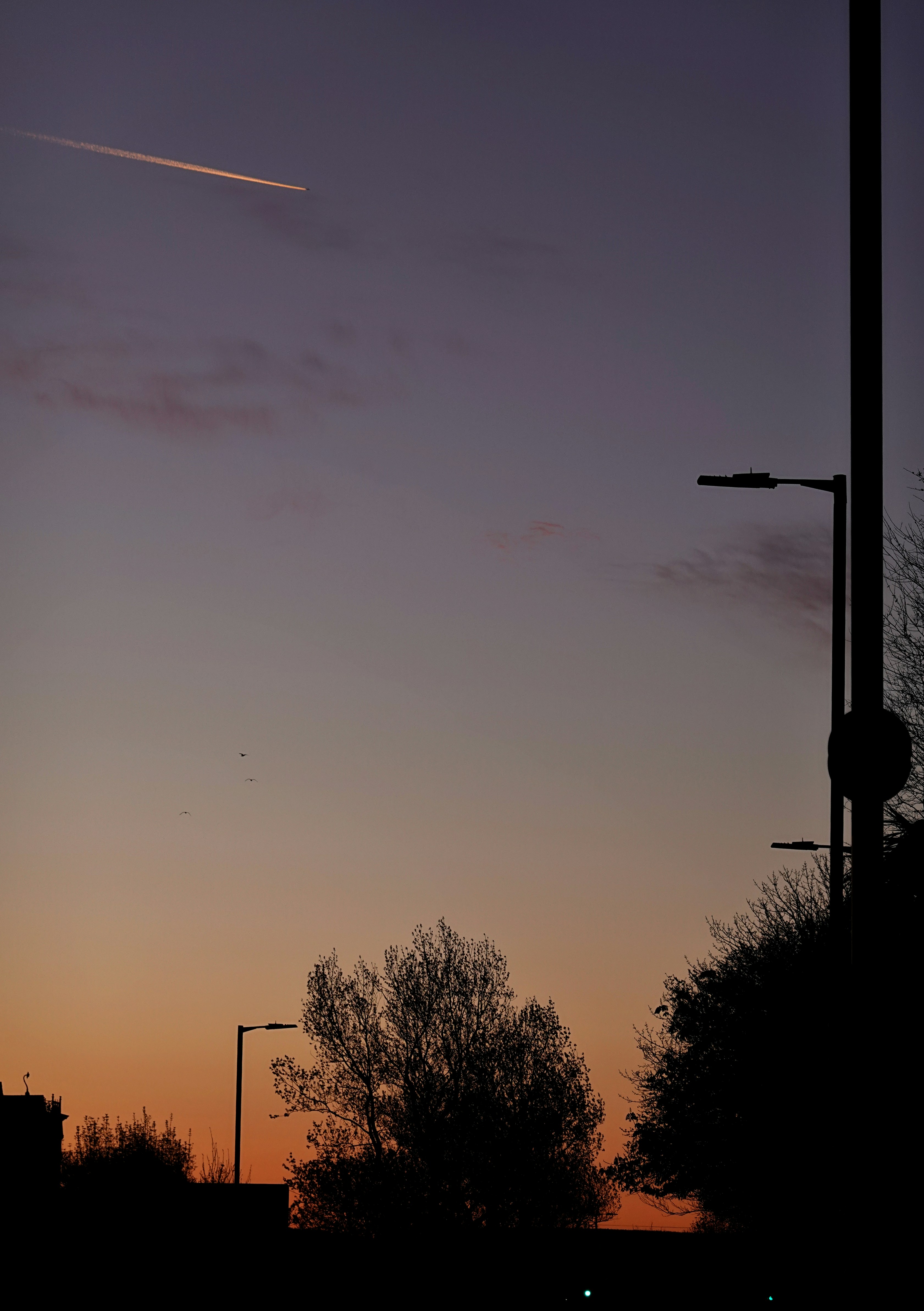 Dusk Skyline Silhouette: Street Lamps and Trees Against a Gradient Sky