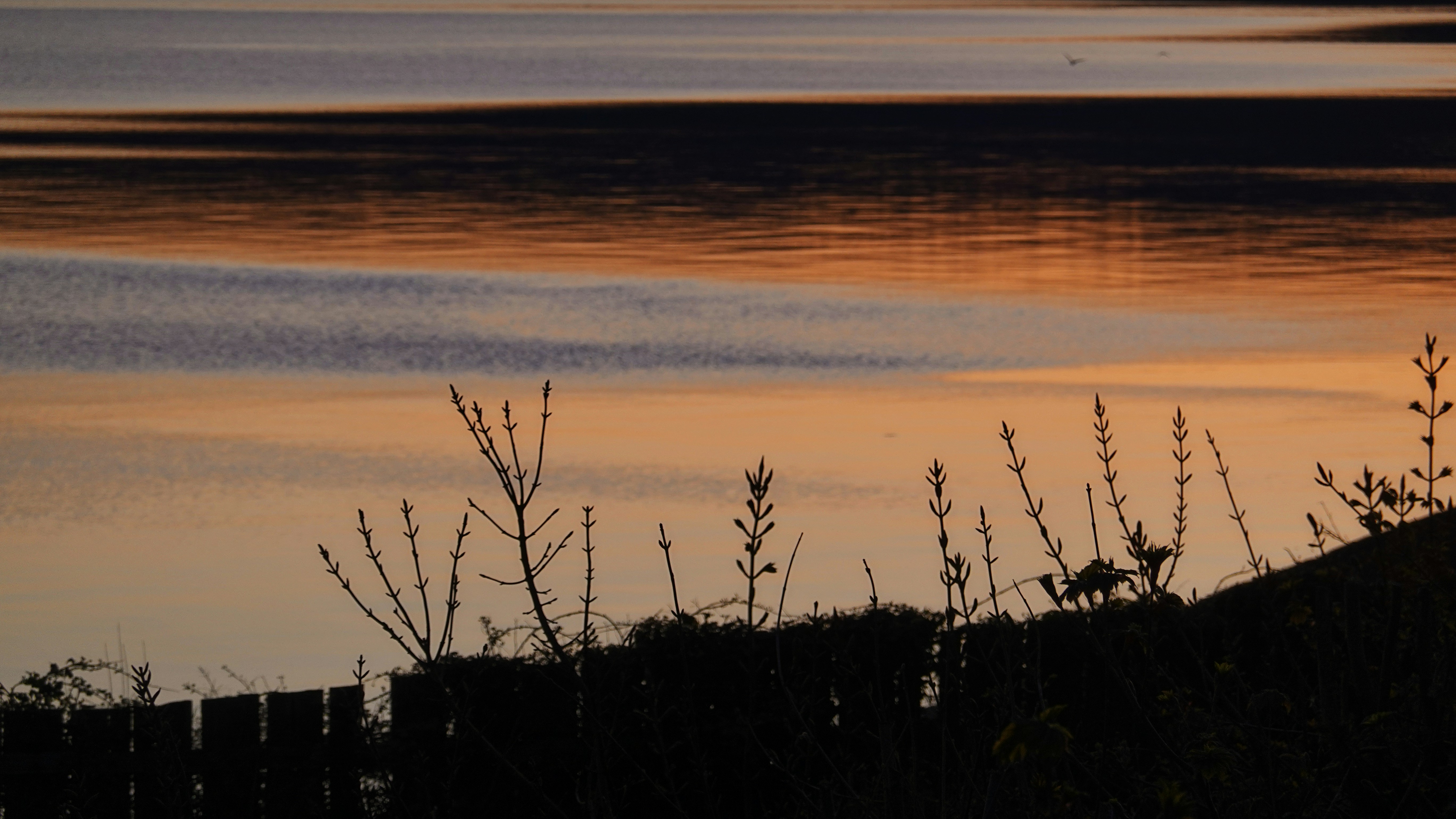 Horizon Glow Over The Quiet Shore