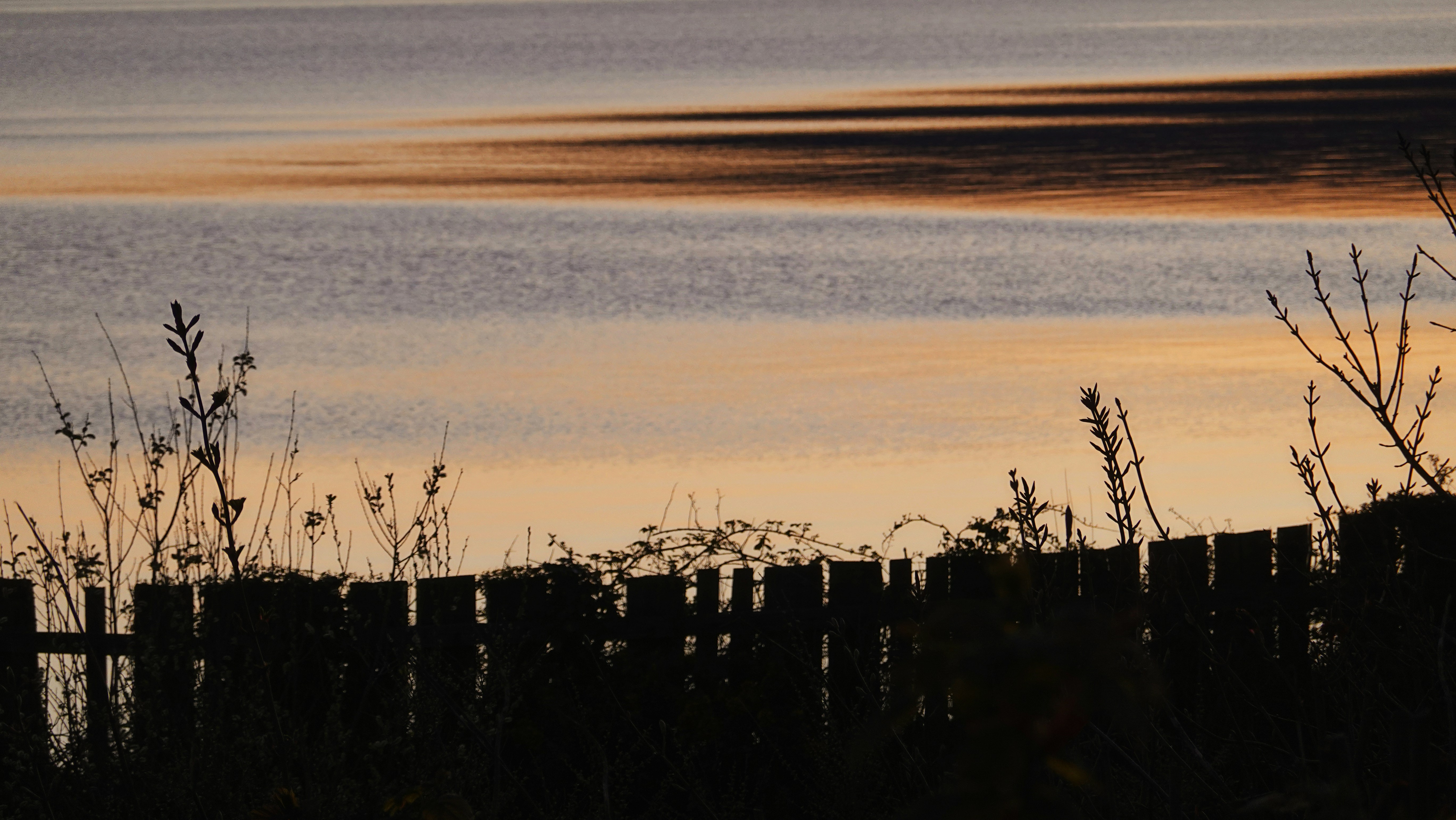 Dusk over the shore: silhouettes and calm water