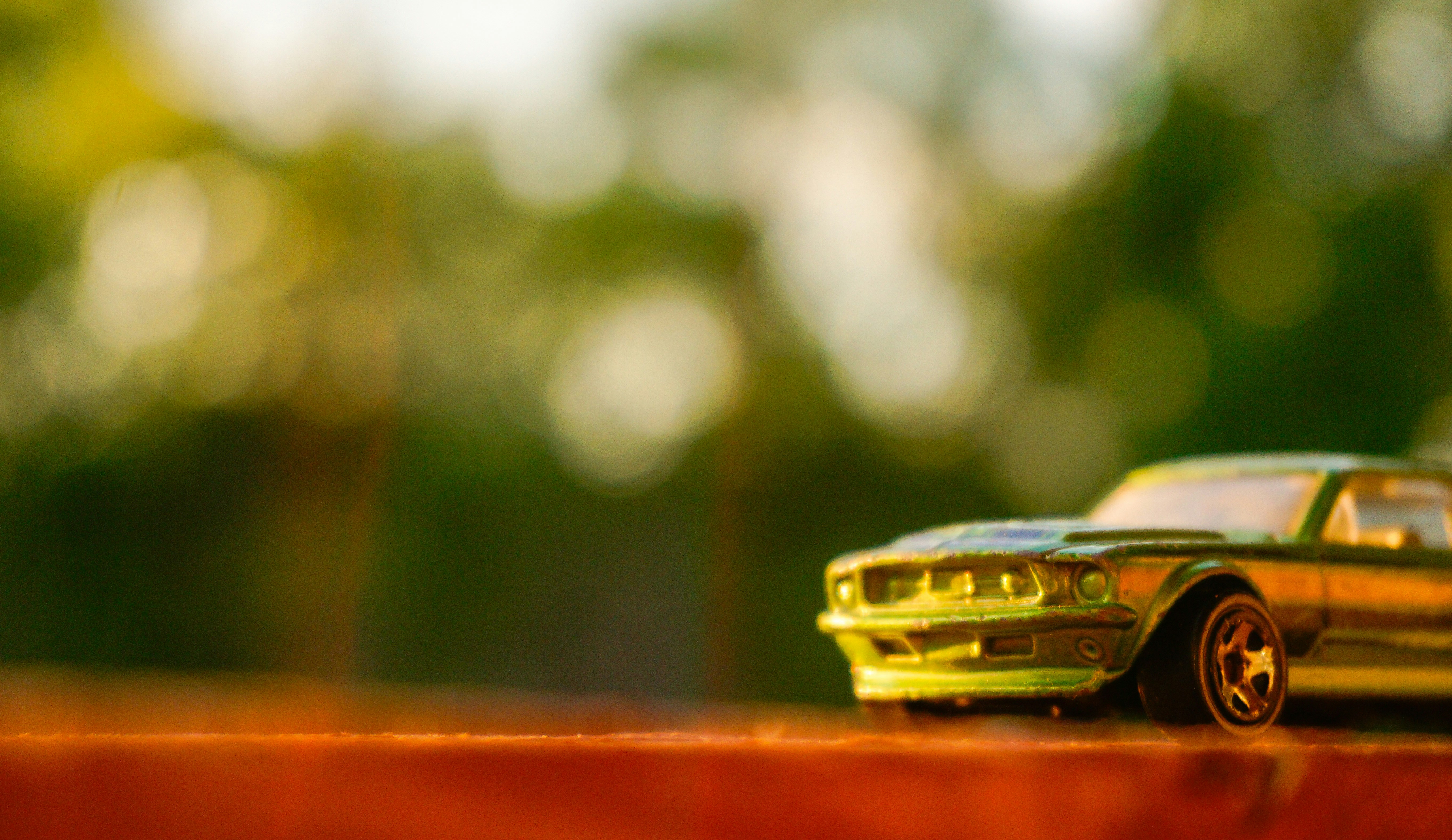 Miniature Mustang, Big Golden Hour Glow