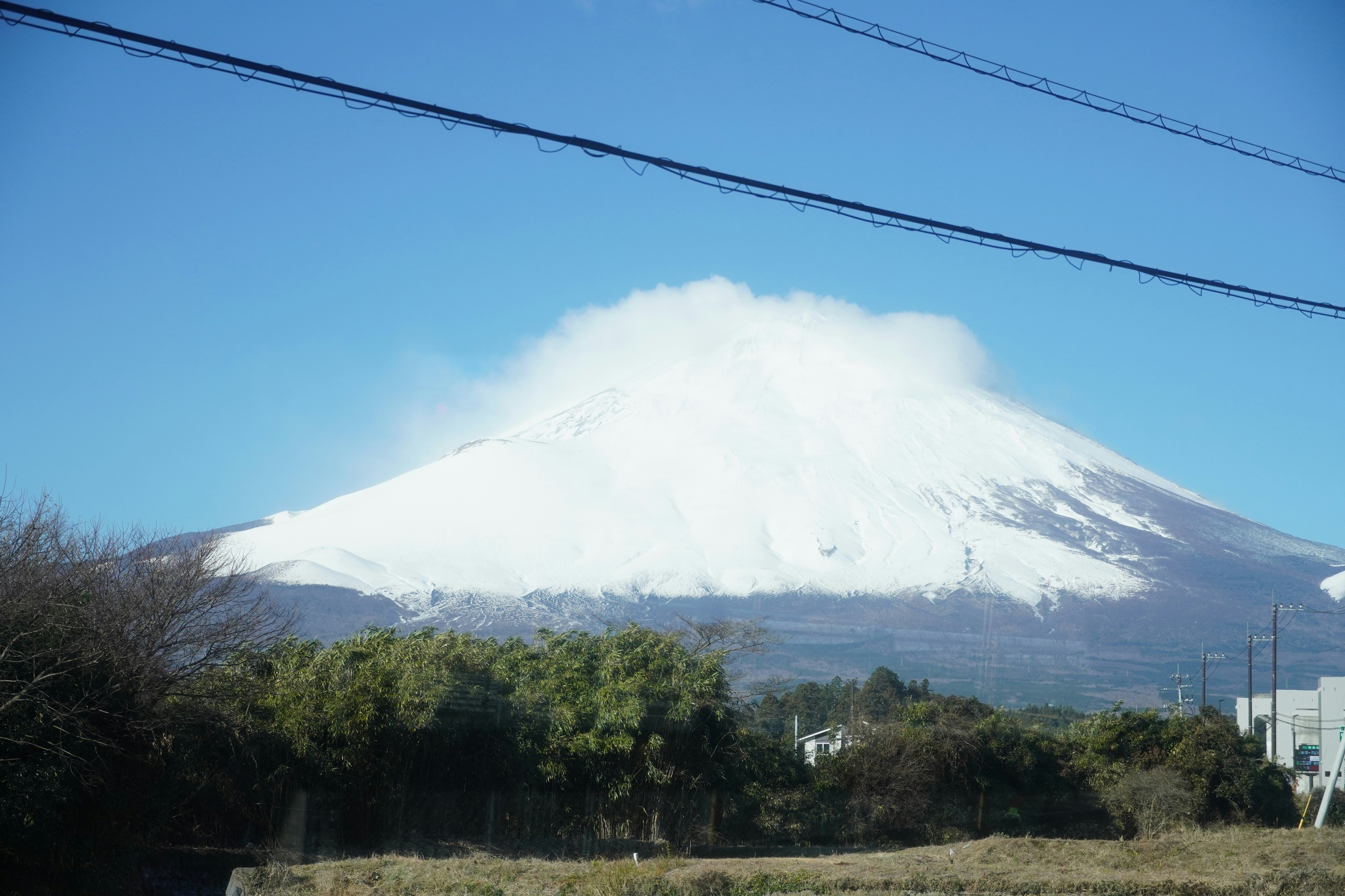 Snow‑capped Peak Framed by Tidy Foreground