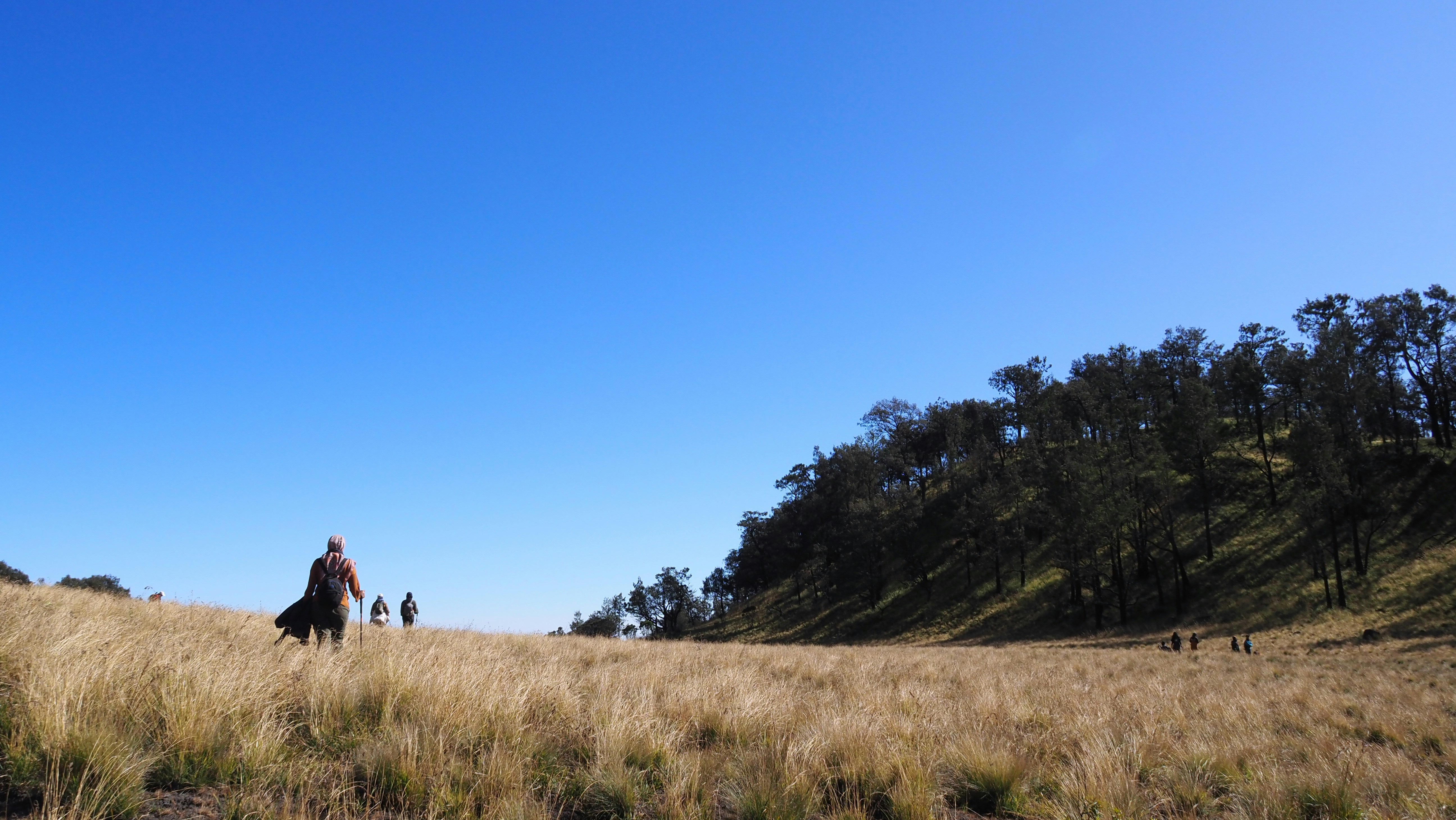 Hikers Trek Through a Golden Hill Under a Clear Blue Sky