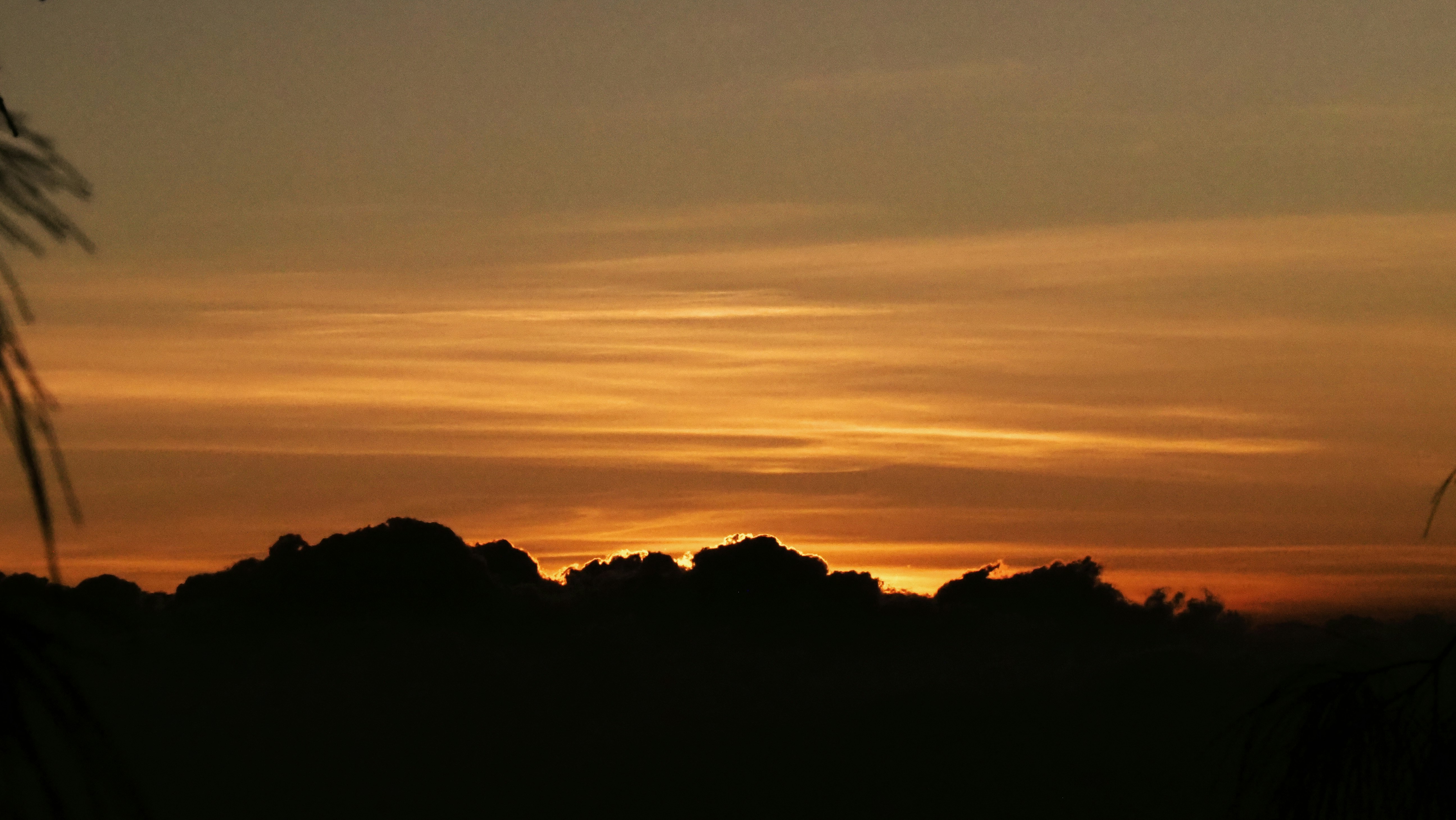 Silhouette at Dusk: Horizon Fire meets Quiet Sky