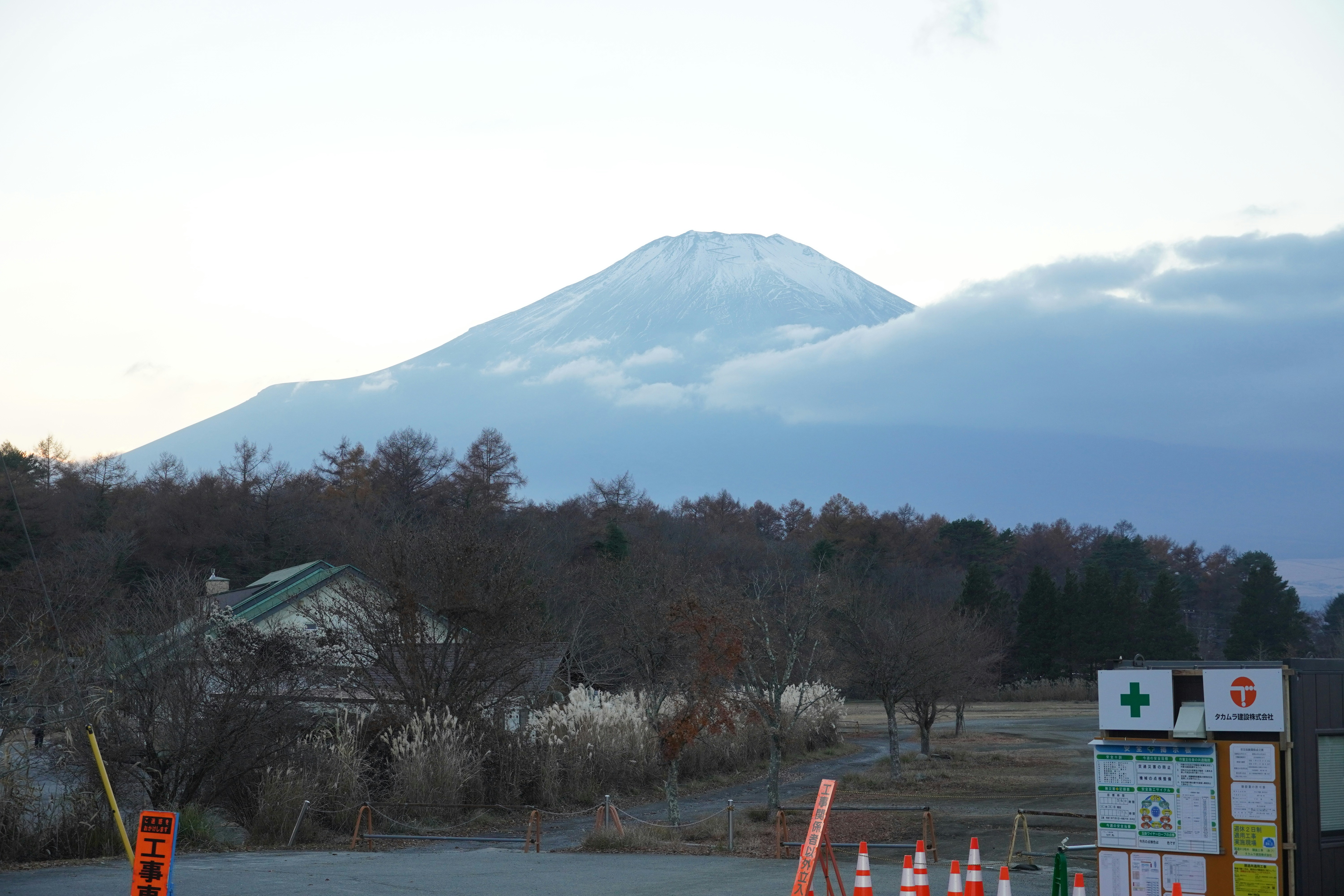 Mountaintop Quiet: A Snow-Capped Peak Over a Rusted Fringe