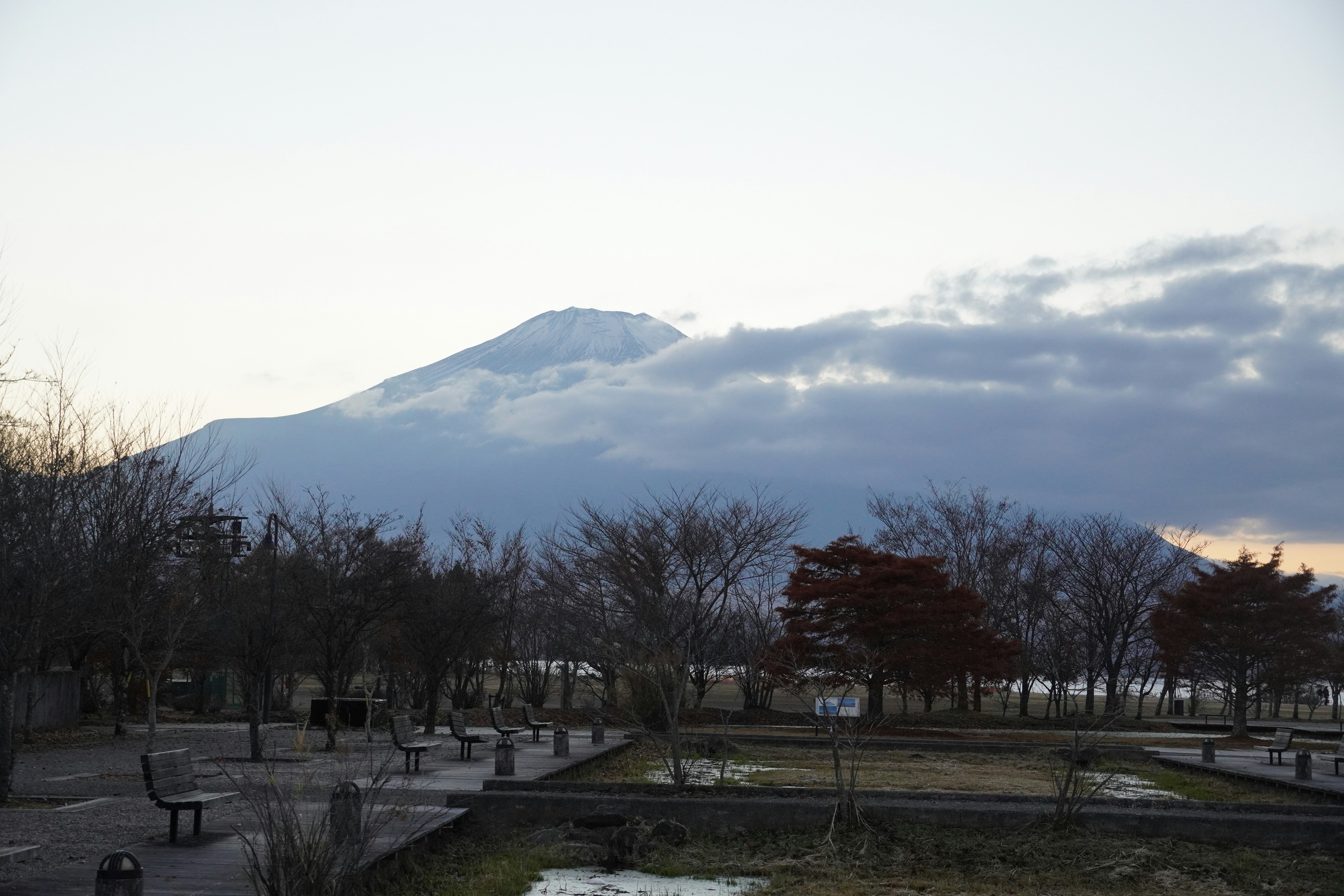Snow-capped Peak Beyond a Quiet Park at Dusk