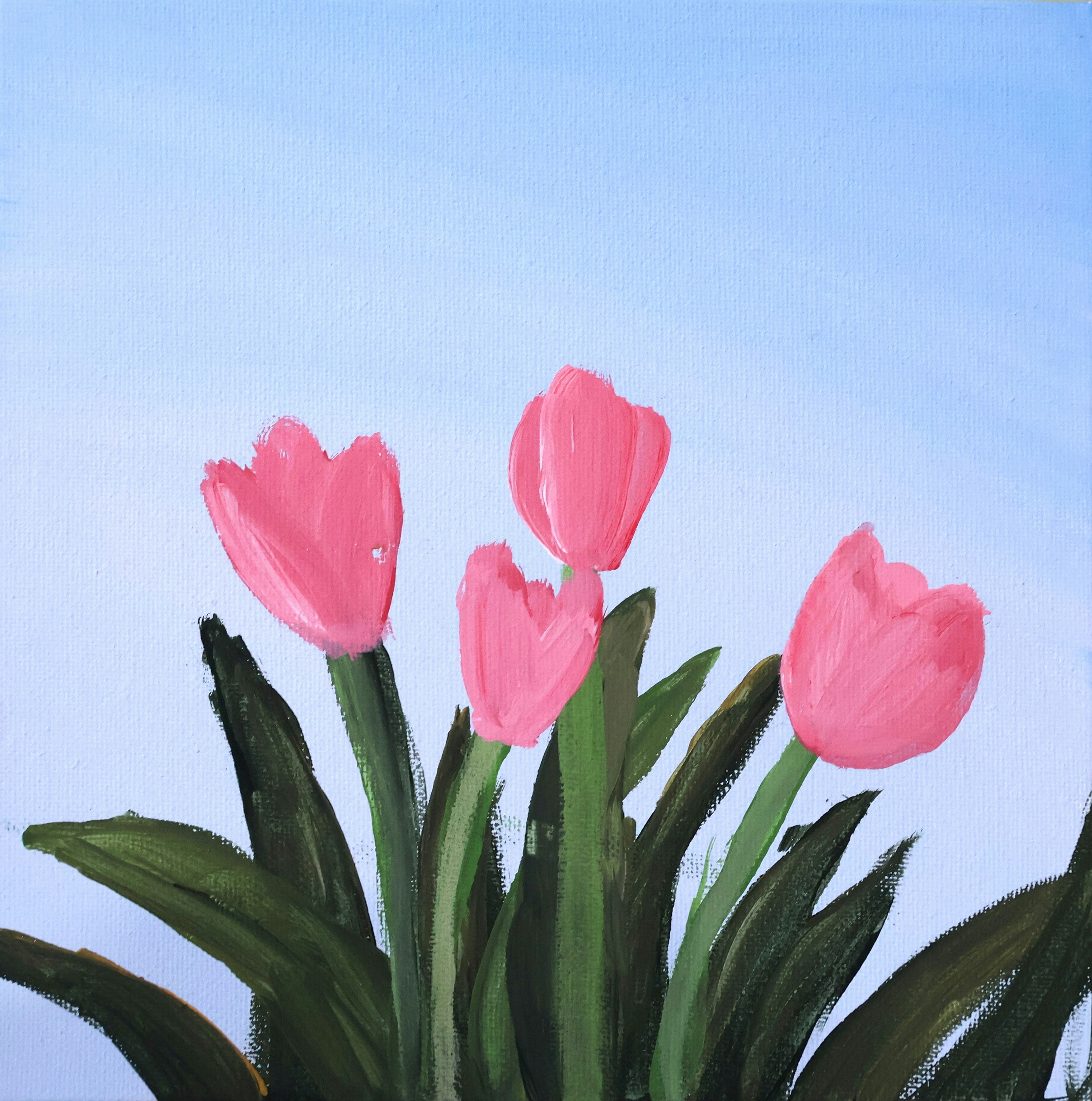 Pink Tulips Reaching Toward a Serene Sky