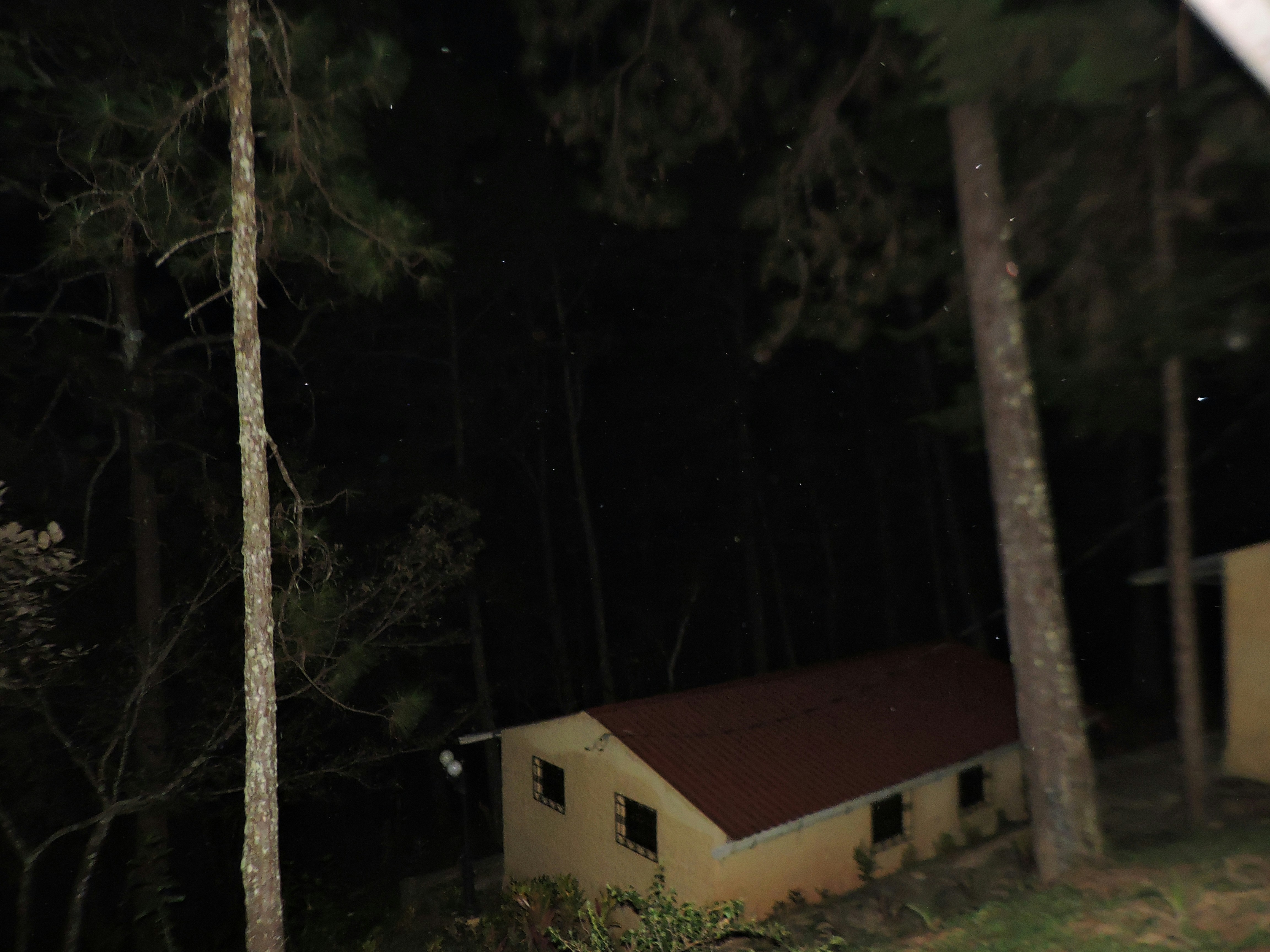 Night Shelter in a Silent Pines