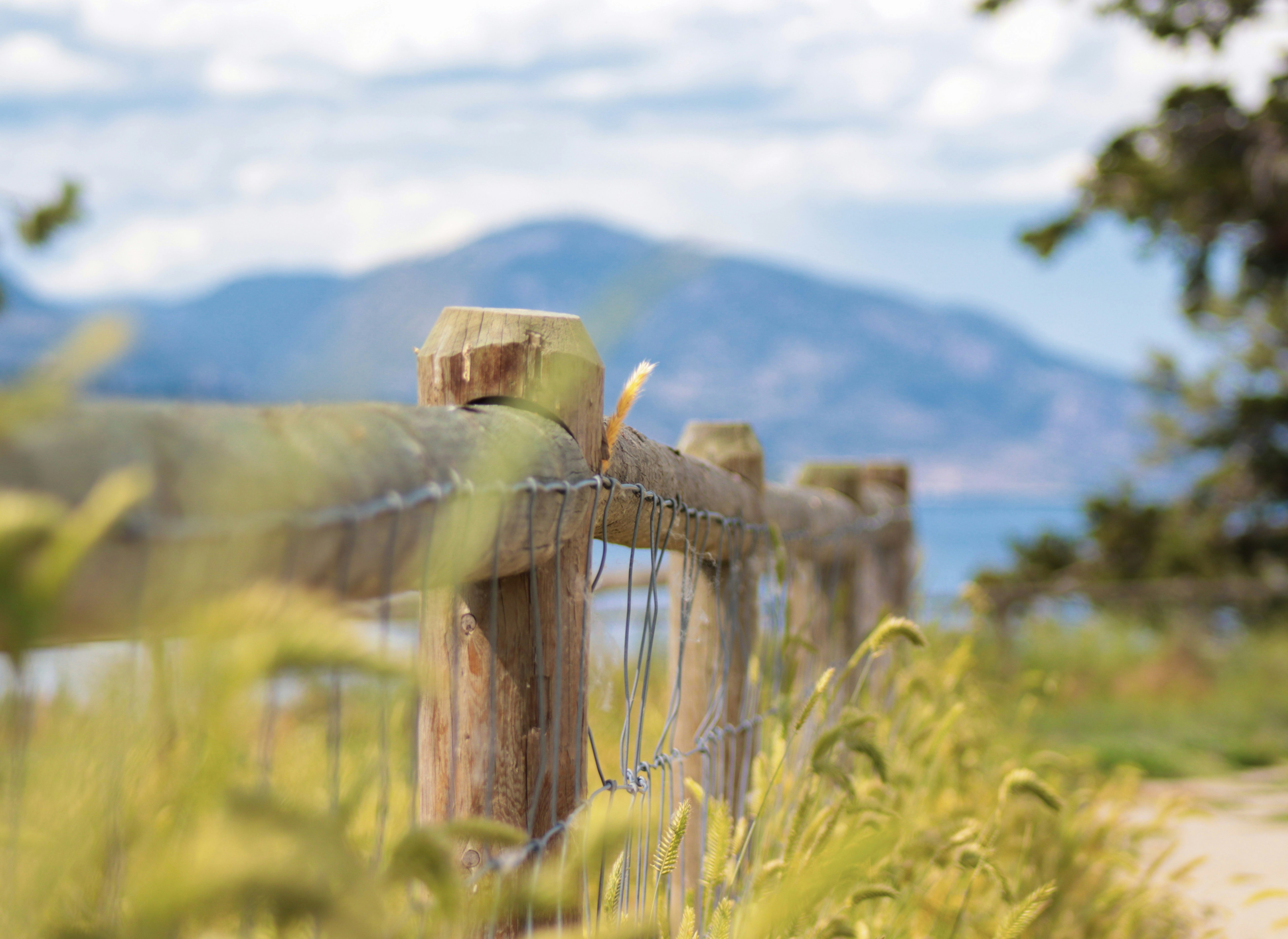 Fence Line to a Misty Lake Vista
