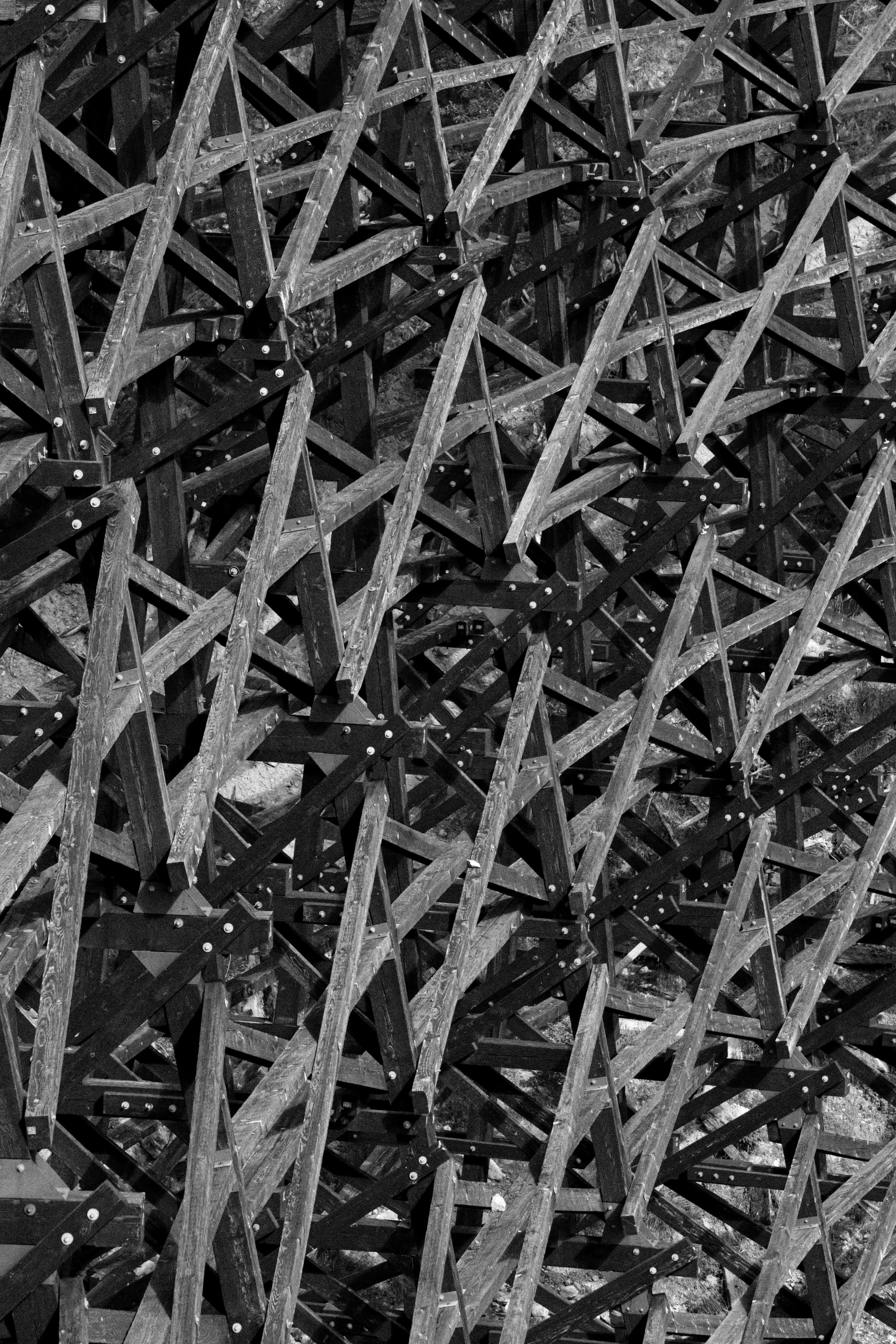 Entangled Timber Field: a monochrome tangle of intersecting slats