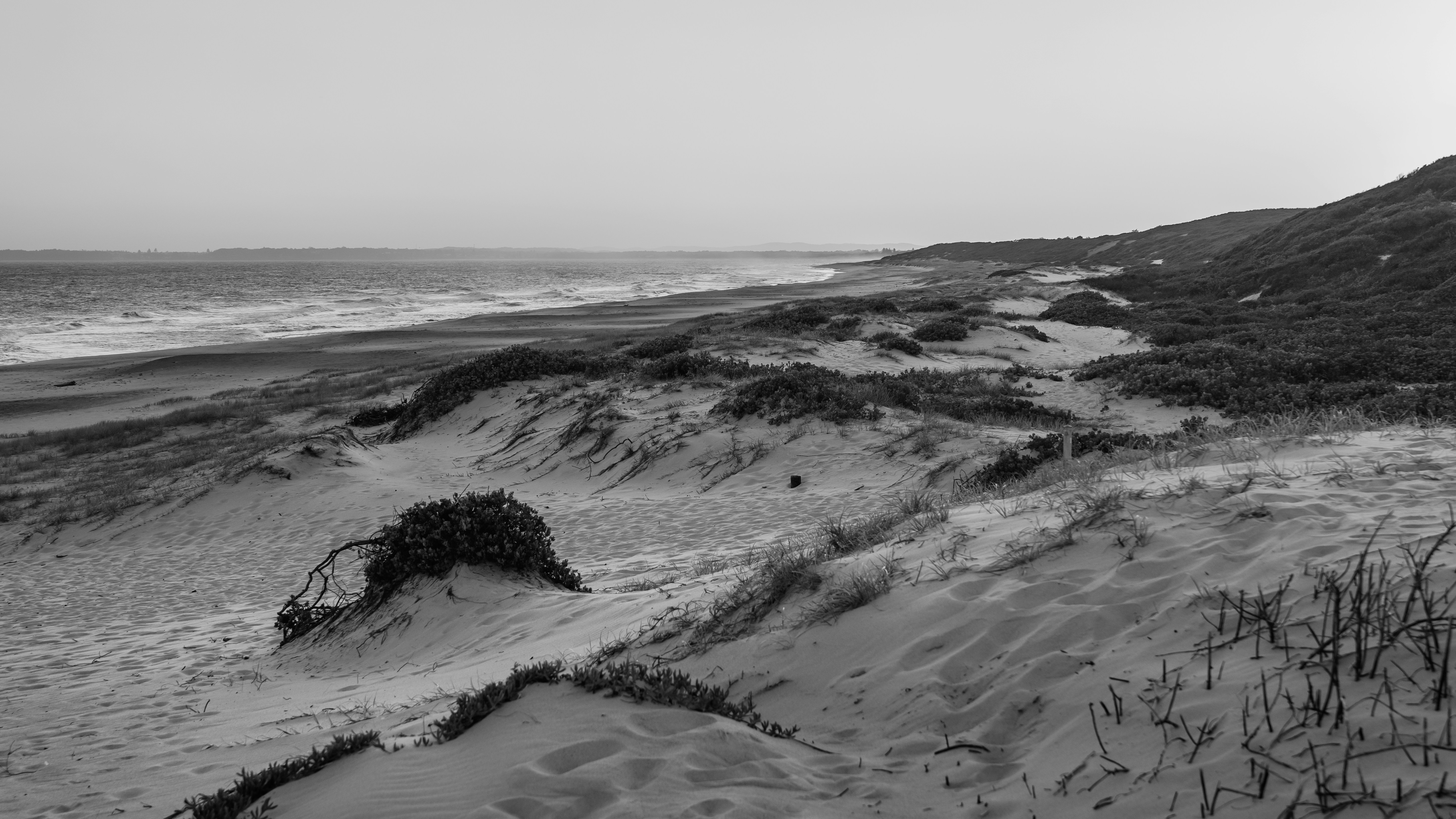 Dunes and Sea Line in Quiet Monochrome