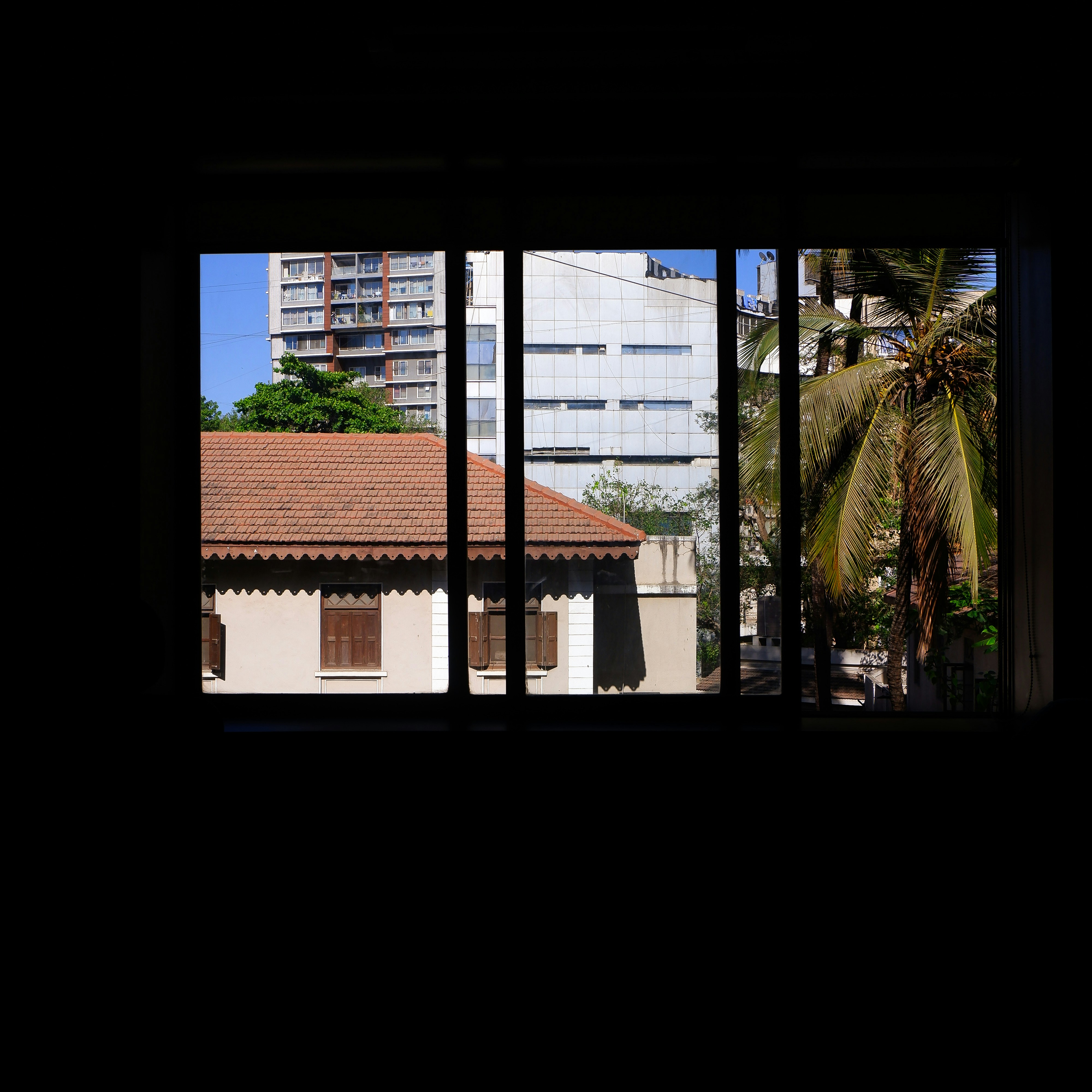 Windowed Cityscape: Framed Masquerade of Roofs, Palm, and Sky