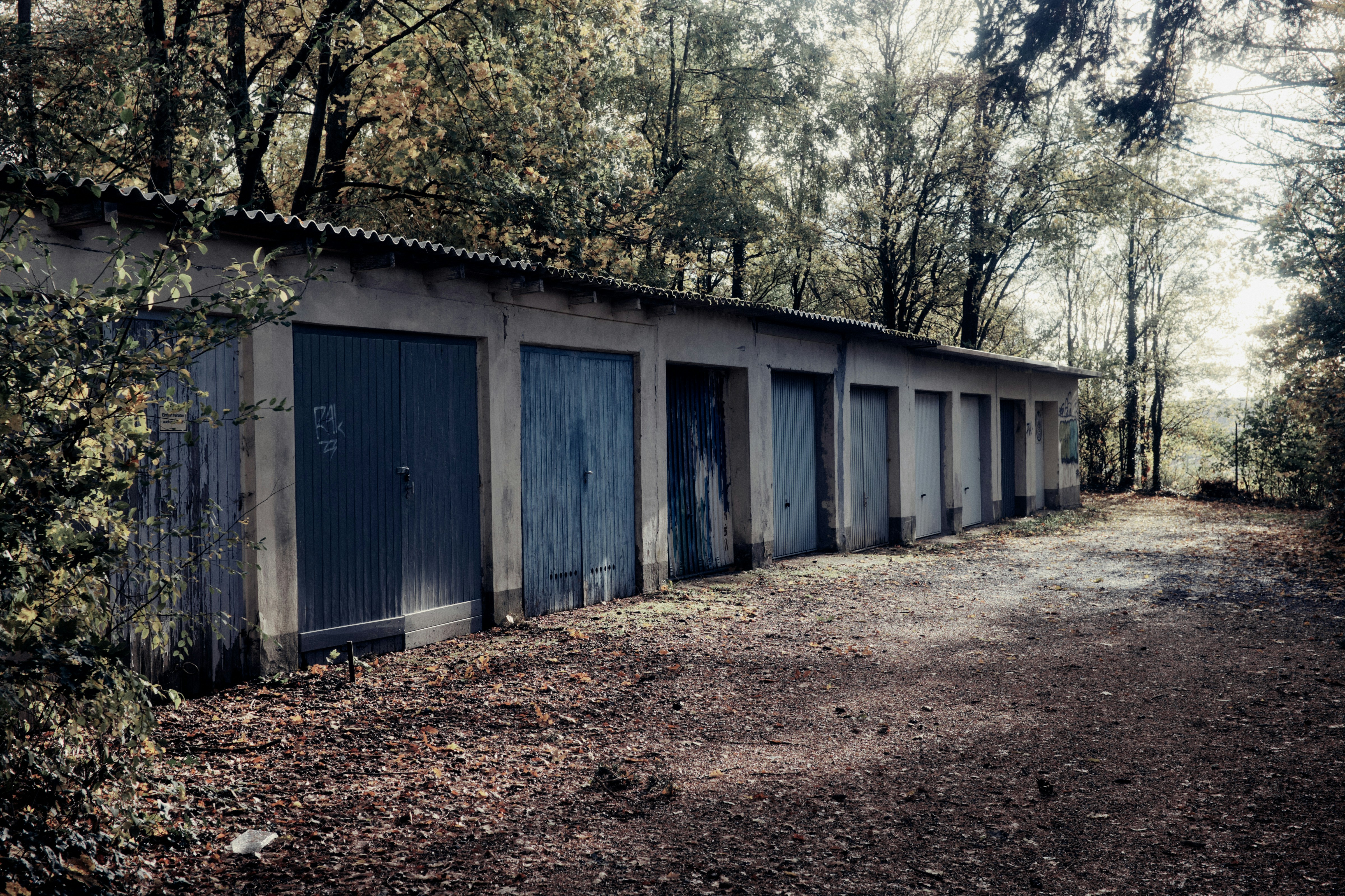 Abandoned Row of Blue Doors Beneath a Canopy of Trees