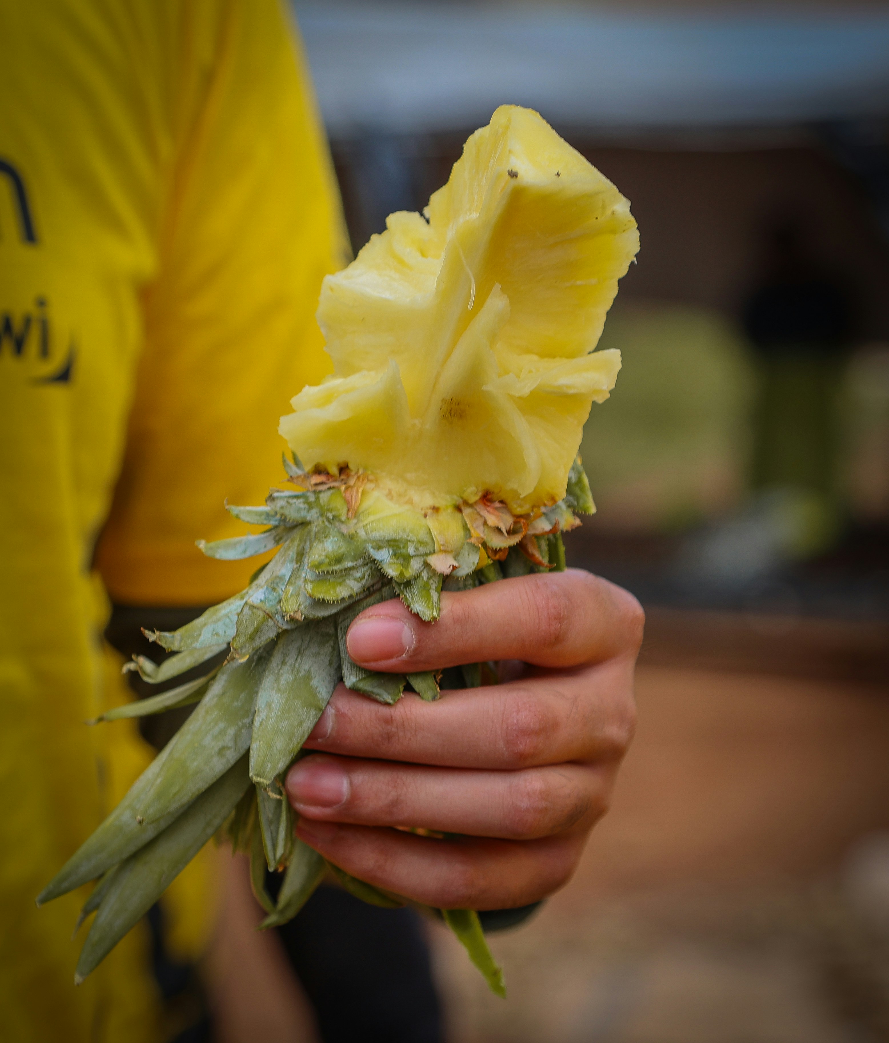Pineapple Crown Grip: Handful of Sunshine