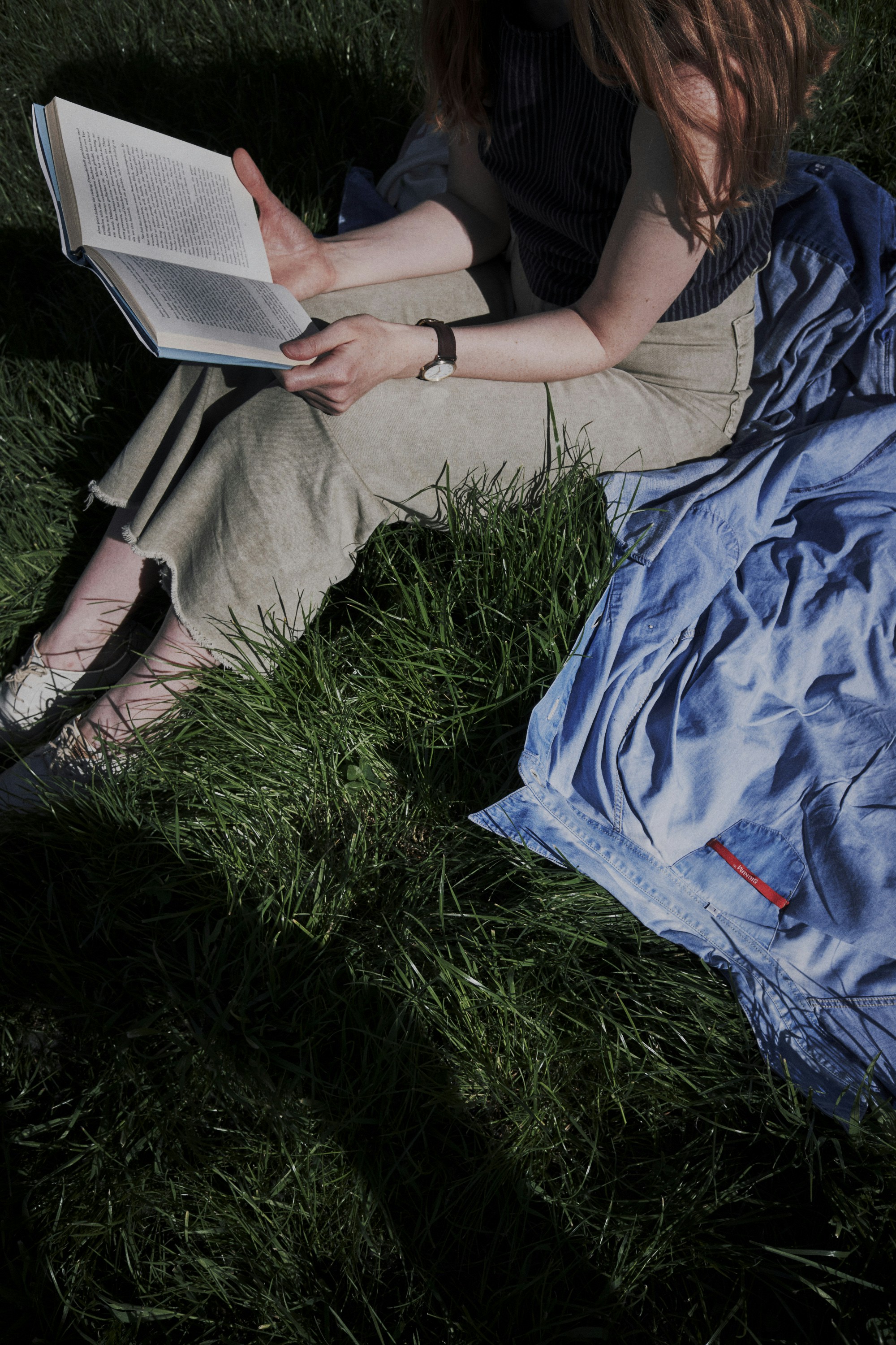 Quiet Focus: A Reader in the Grass