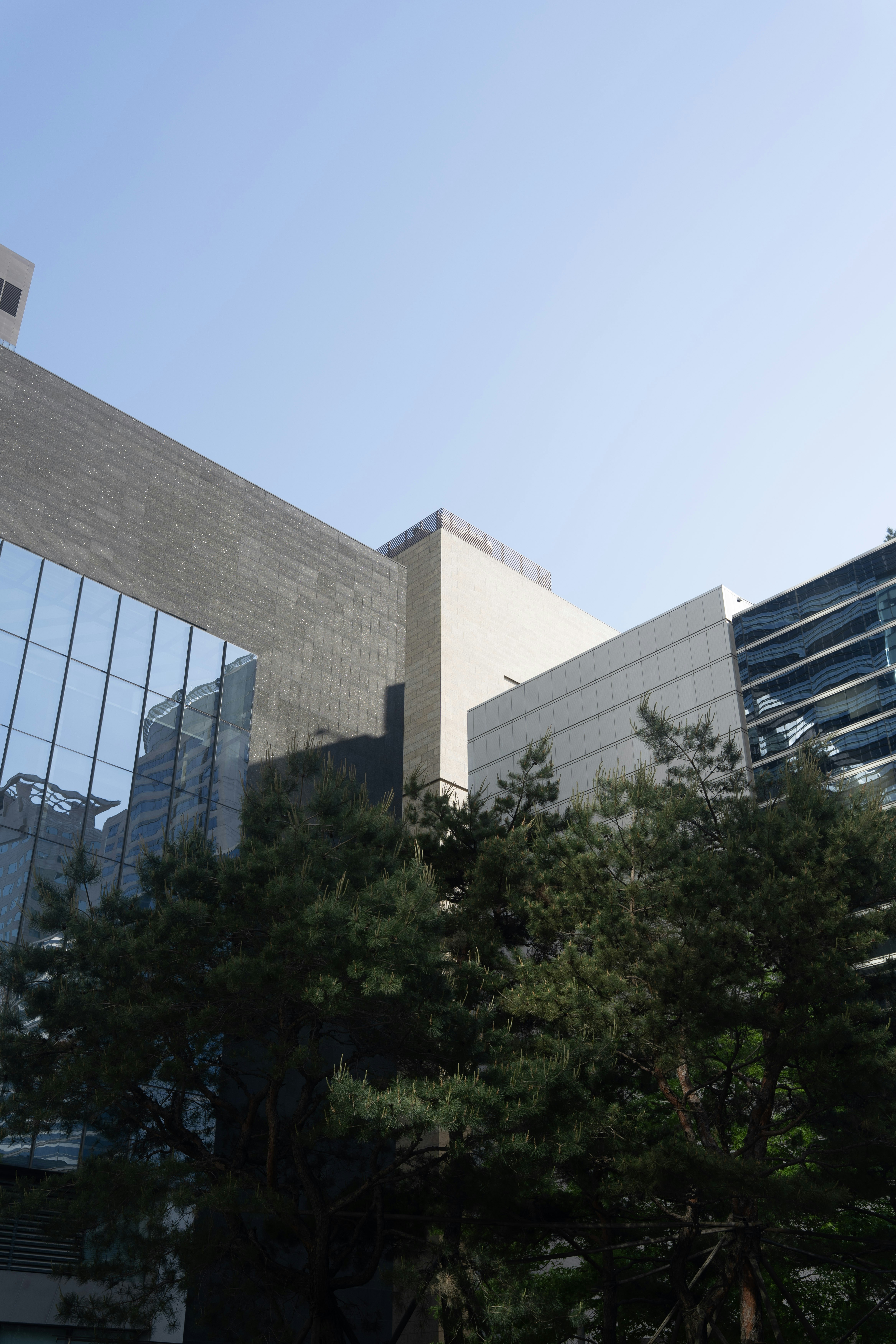 Urban Glass Facades Under Clear Sky