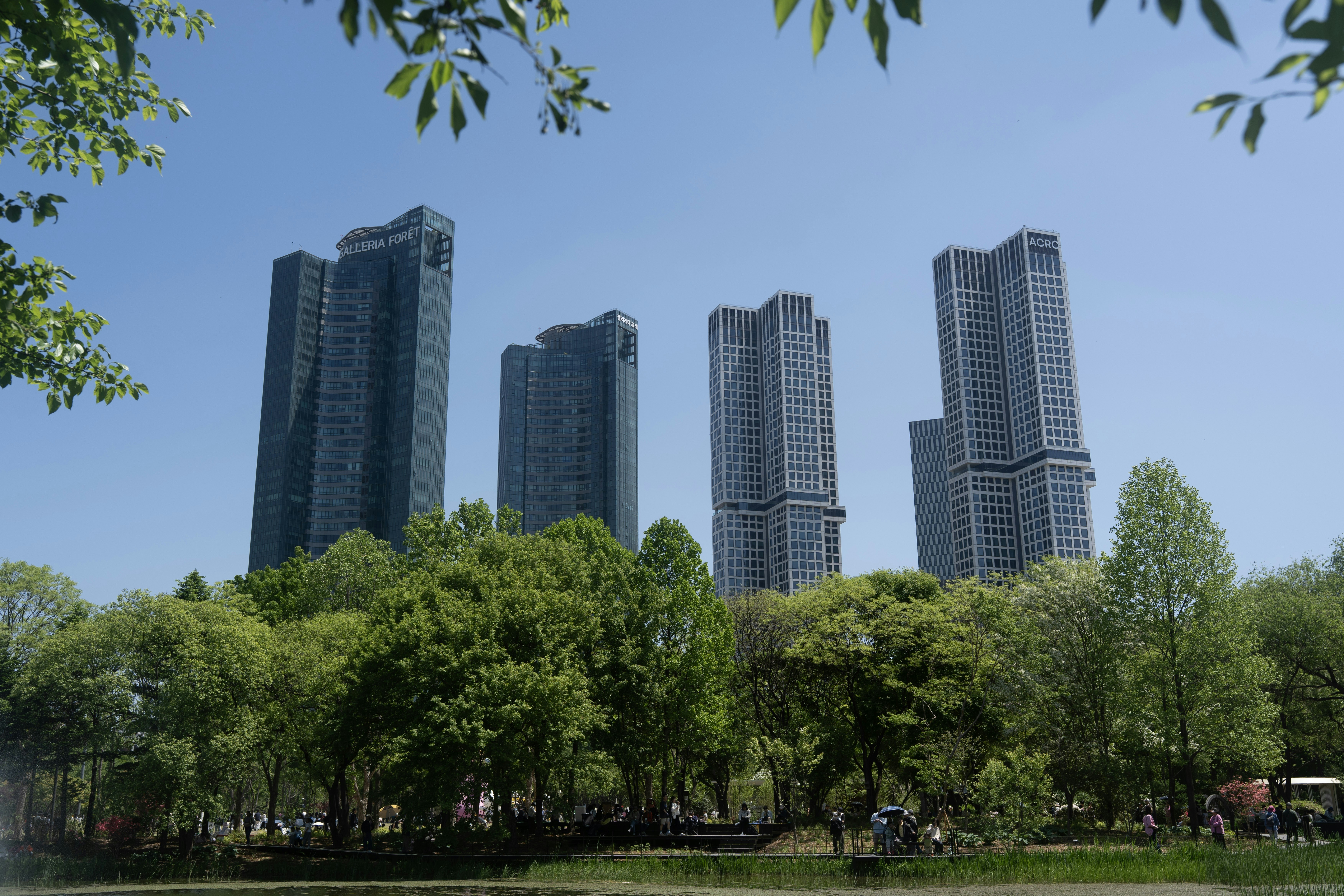 Urban Canopy Rising: Skyscrapers Above a Green Riverside